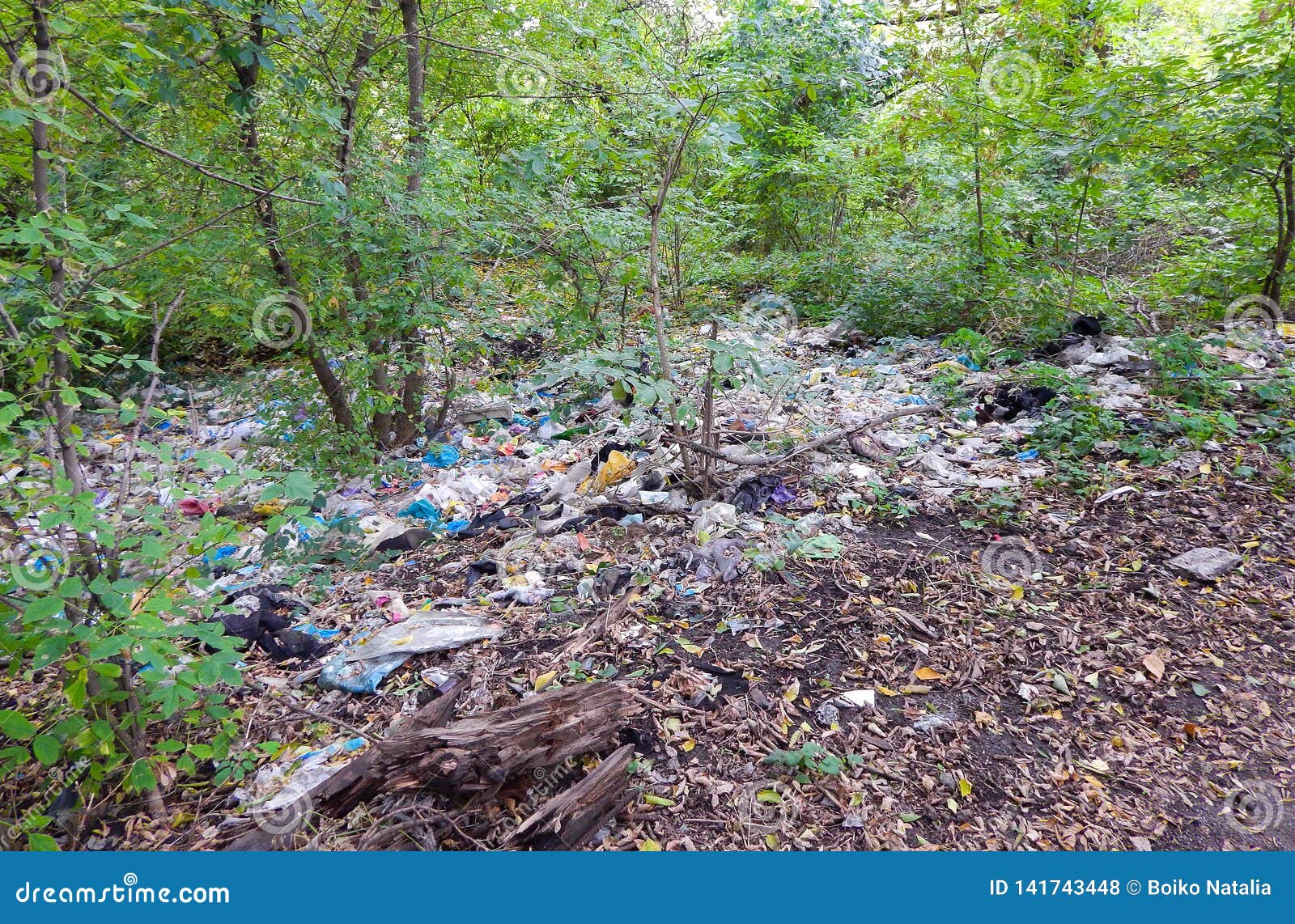 Garbage in the Forest, Pollution of Nature with Waste Stock Photo ...