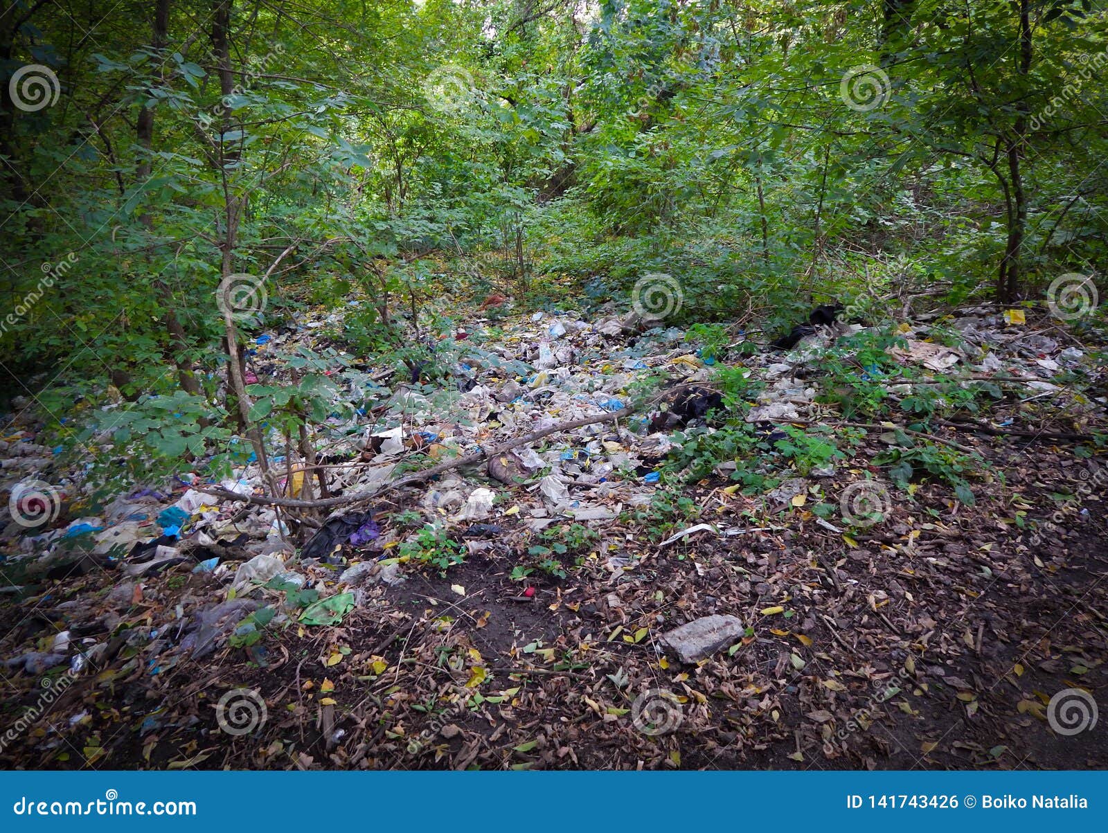 Garbage in the Forest, Pollution of Nature with Waste Stock Photo ...