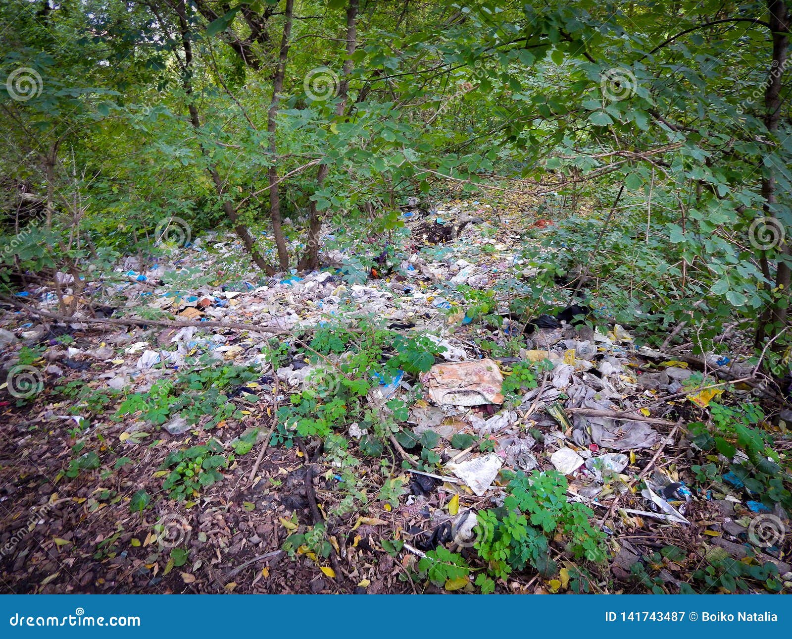 Garbage in the Forest, Pollution of Nature with Waste Stock Image ...