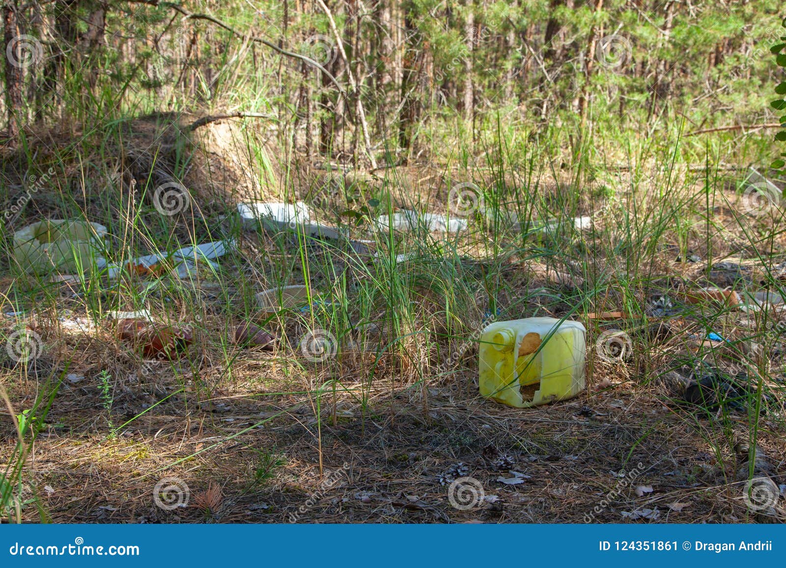 Garbage in the Forest. Pollution of Wood with Plastic and Other Human ...