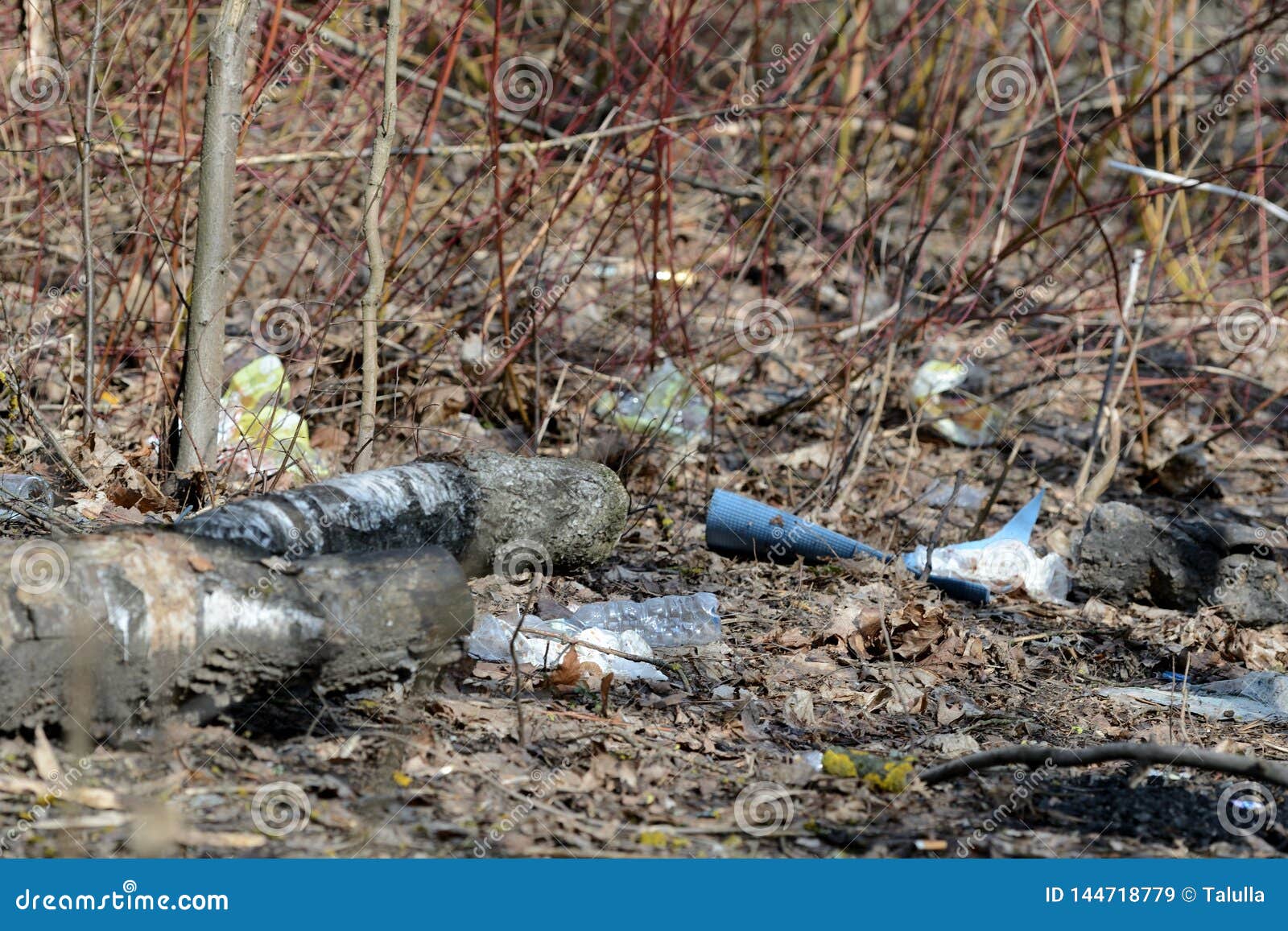 Garbage in the Forest. the Problem of Ecology and Pollution of Nature ...