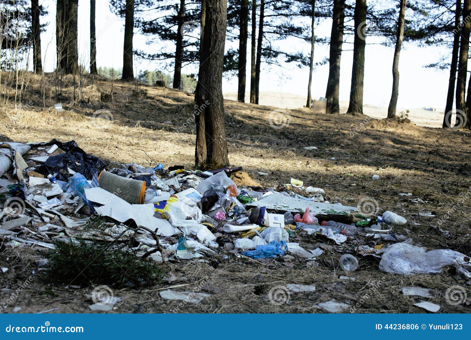 Garbage in Forest, Problems of Environment Stock Photo - Image of ...