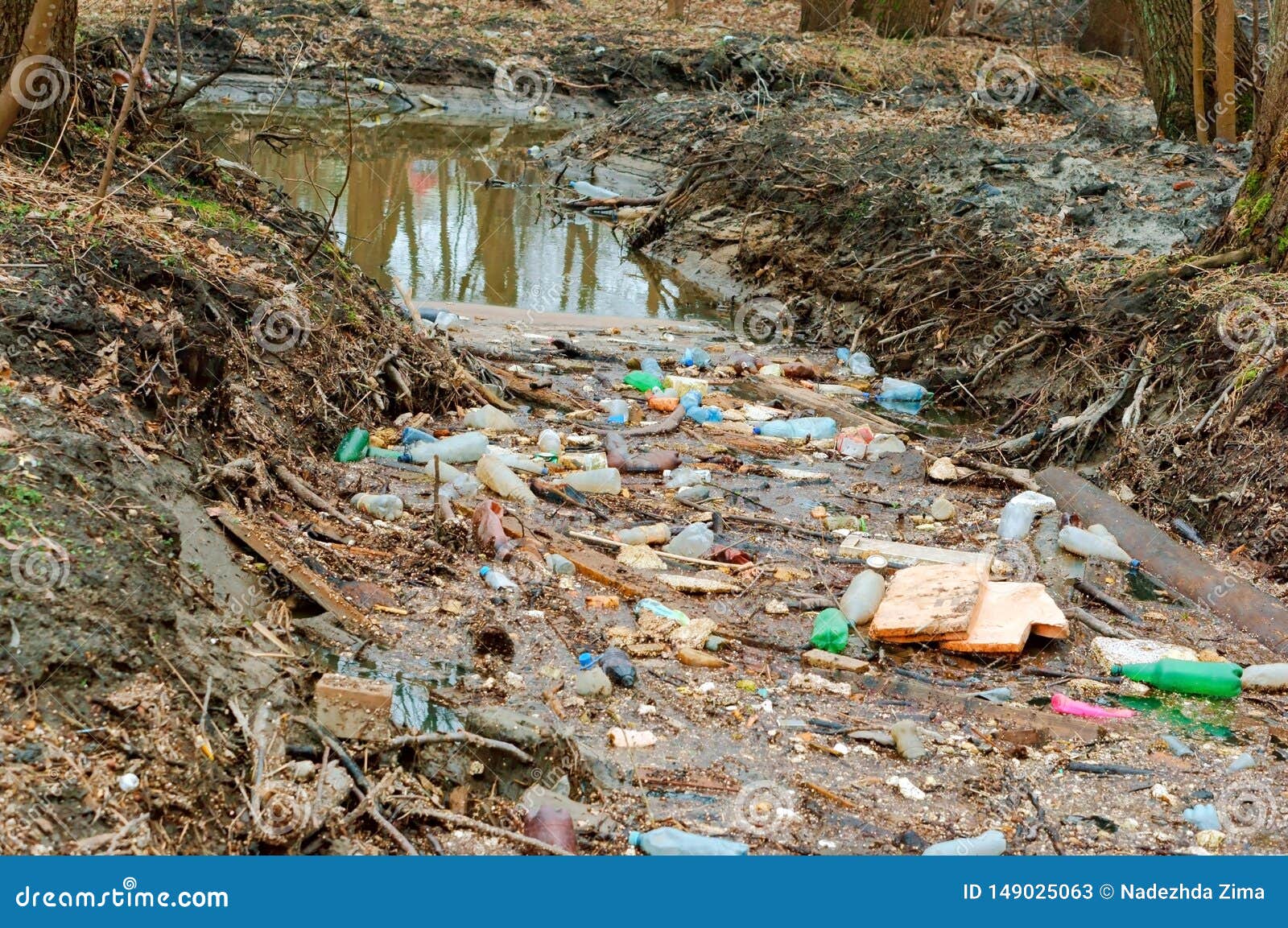 Garbage in the Forest on the River, Pollution of Reservoirs Stock Image ...
