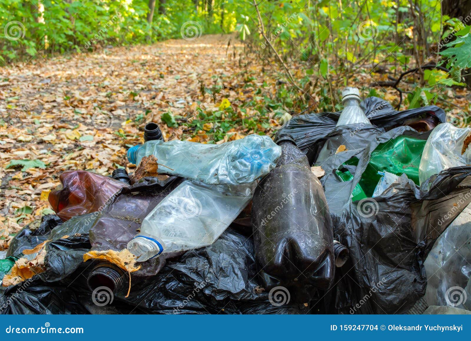 Garbage in the Forest, Consisting of Plastic Bottles and Plastic Bags ...