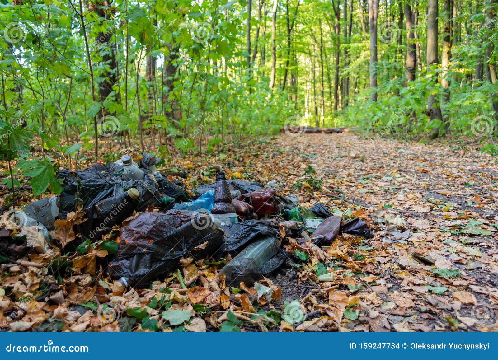 Garbage in the Forest, Consisting of Plastic Bottles and Plastic Bags ...