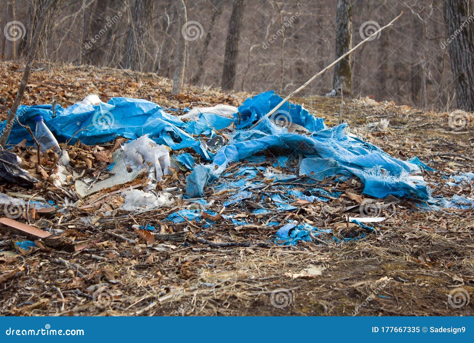 Garbage in the Forest. Used Plastic Trash Thrown into the Forest Stock ...