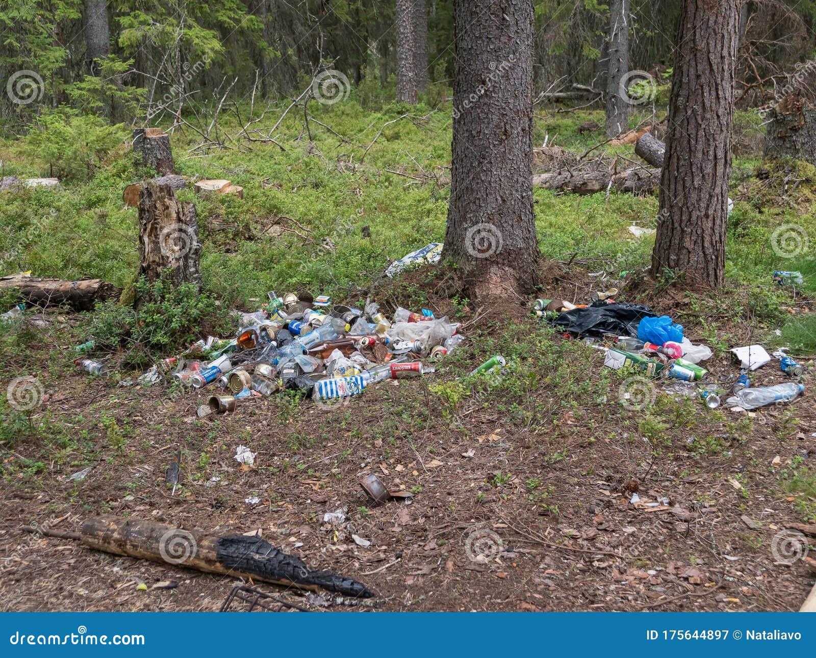 Garbage in the forests stock image. Image of conservation - 175644897