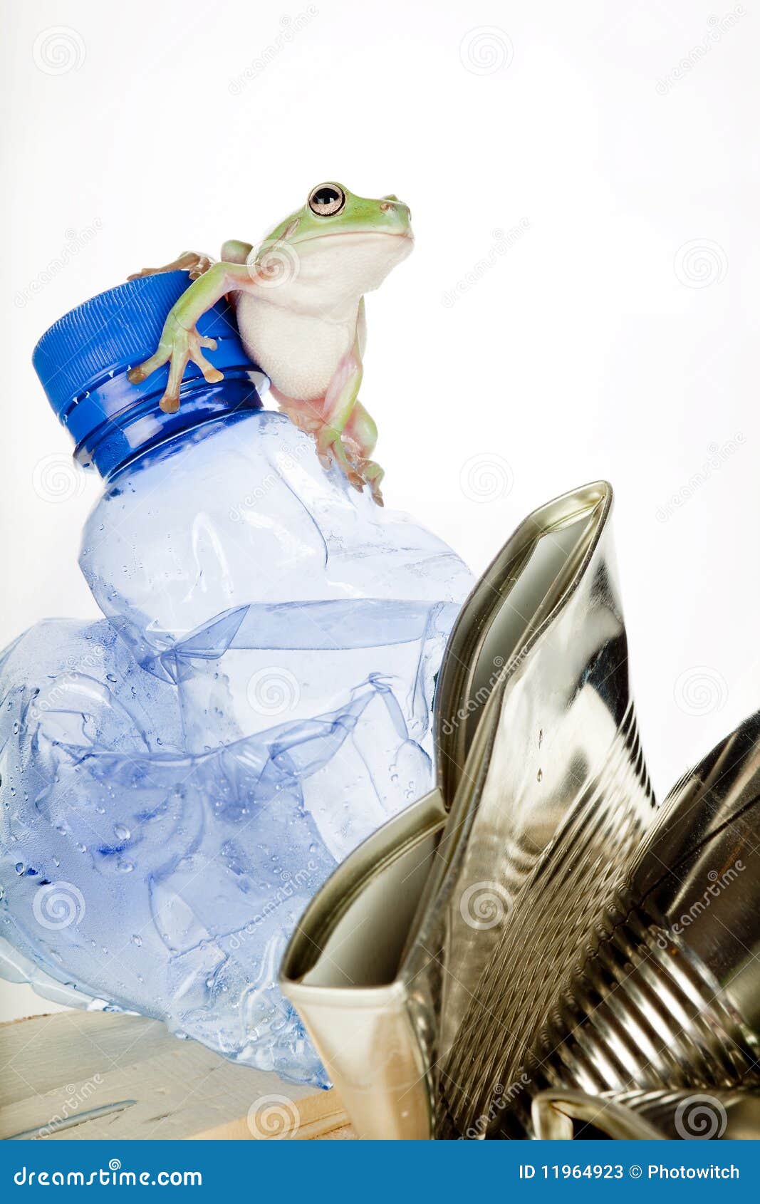 Garbage frog stock image. Image of protection, contaminated - 11964923