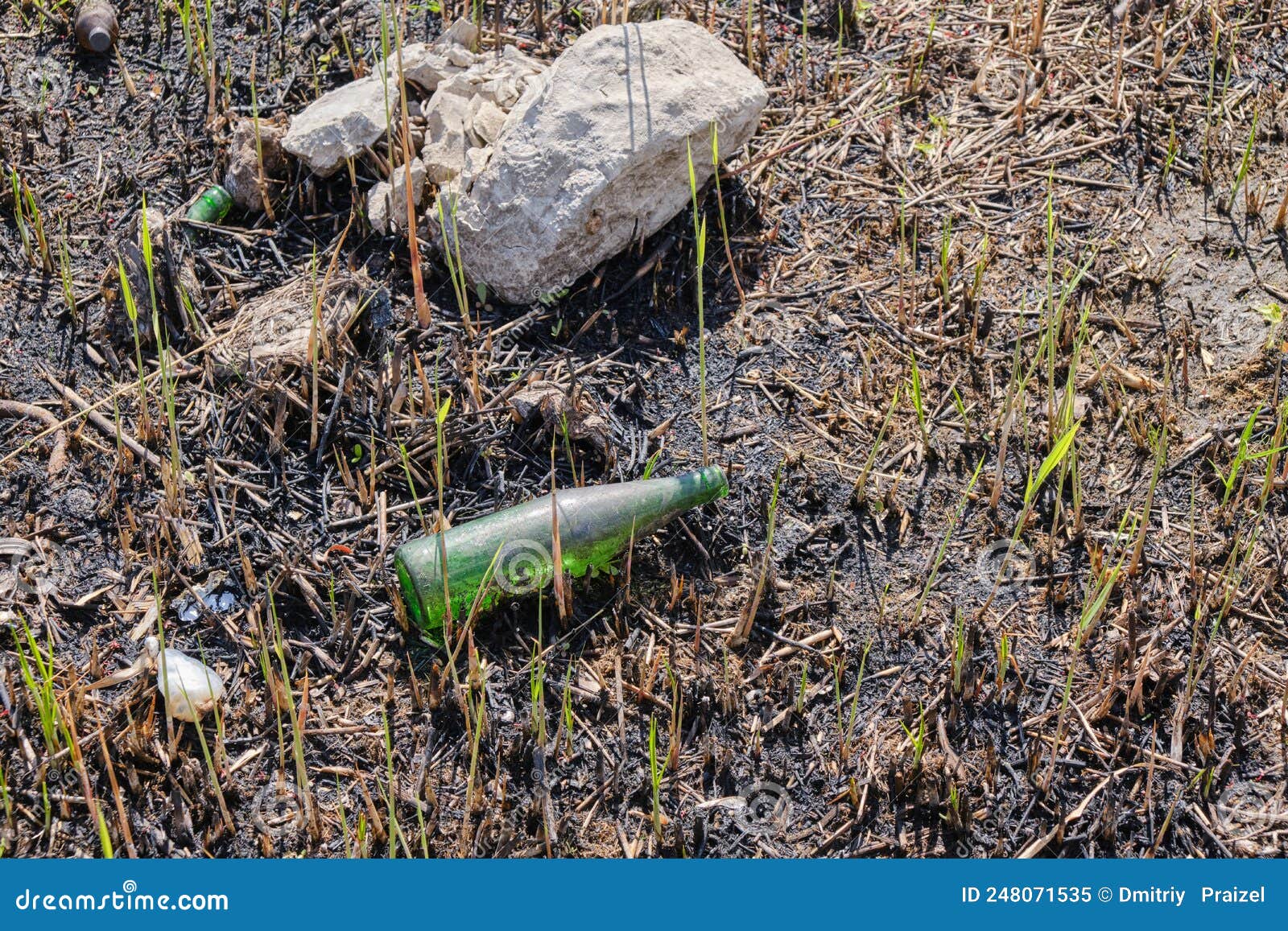 Garbage and Glass Bottles on the Scorched Earth after the Fire Stock ...