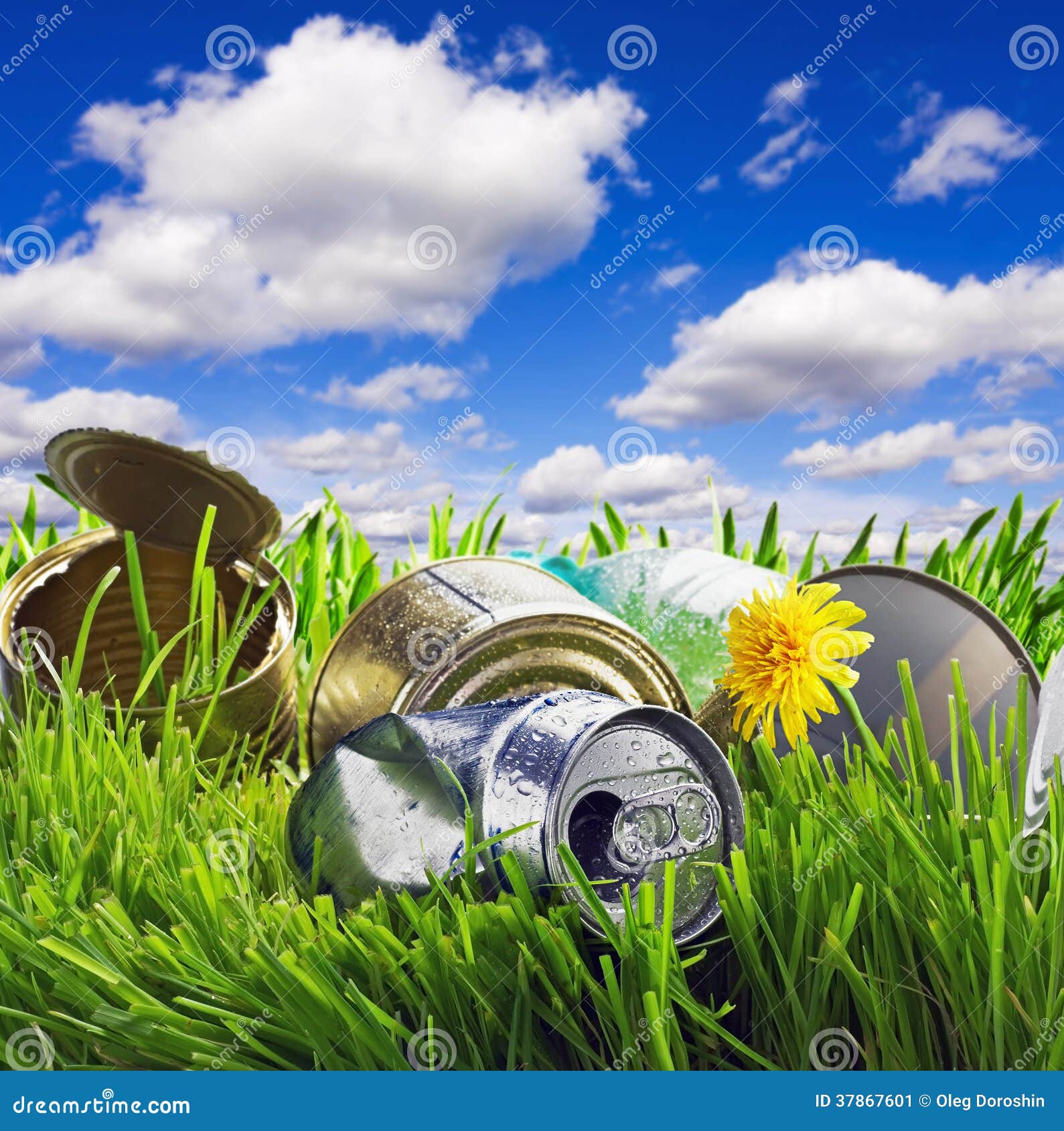 Garbage on the grass stock image. Image of park, objects - 37867601