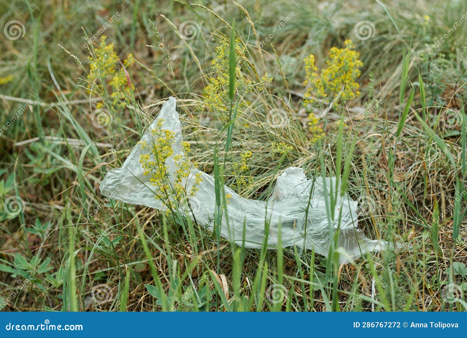Garbage on the Grass Outdoors Stock Photo - Image of packet, outdoors ...