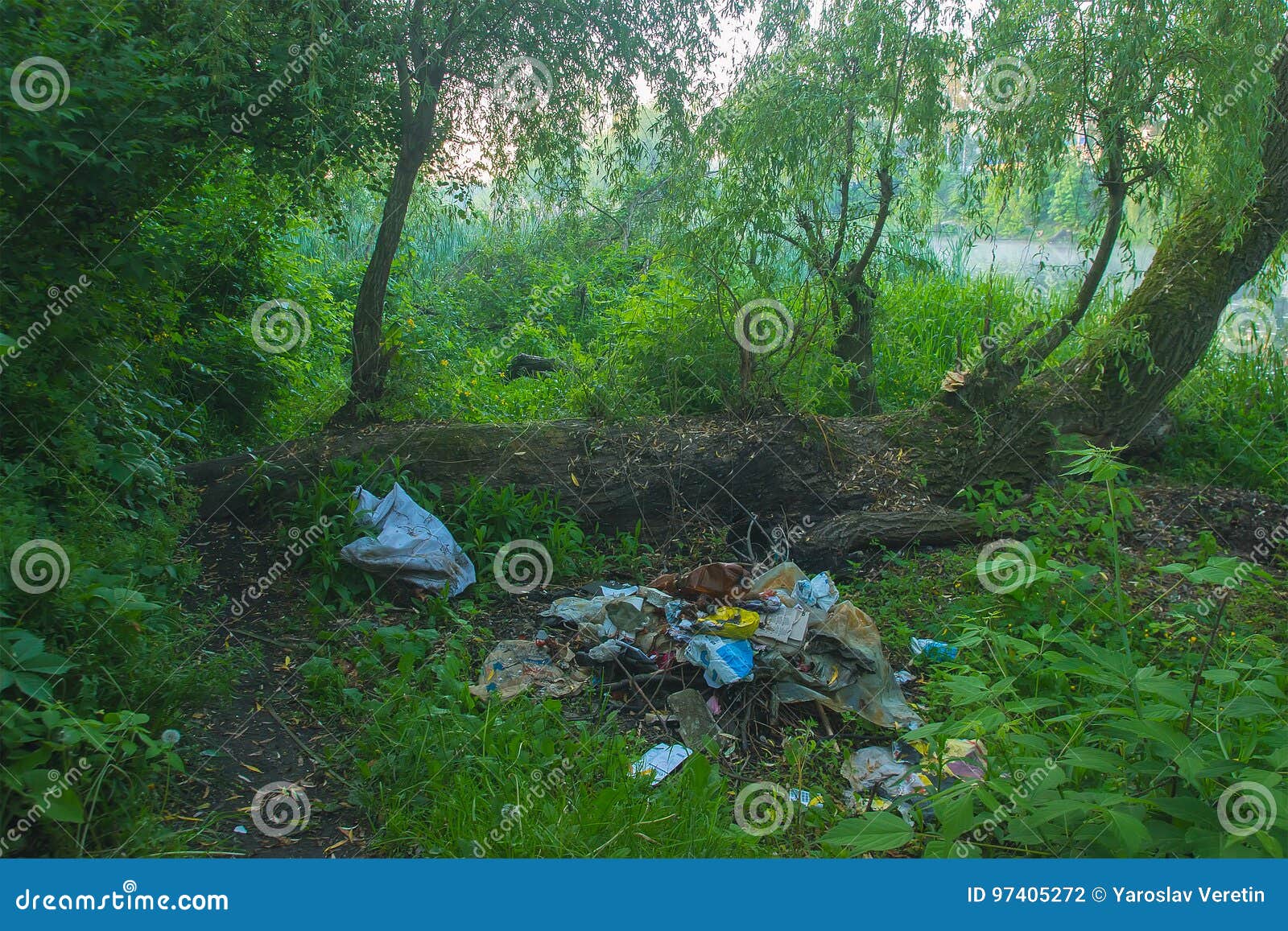 Garbage on Ground, Nature Scene Landscape Stock Photo - Image of ...