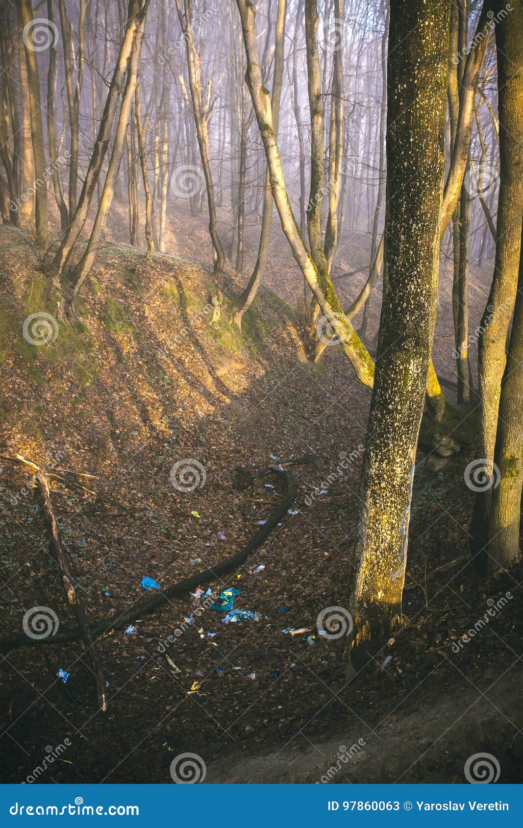 Garbage on Ground, Nature Scene Landscape Stock Image - Image of ...