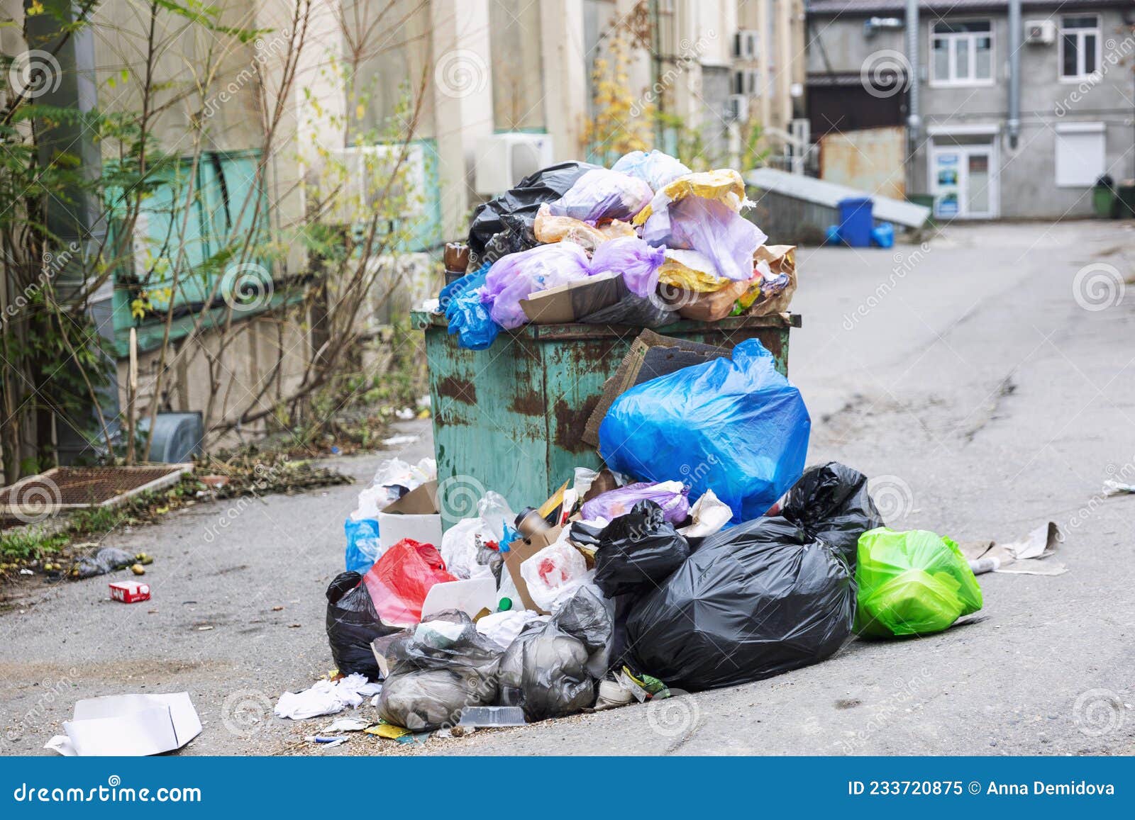 Garbage Heap in a Container in the Yard of the House. the Problem of ...