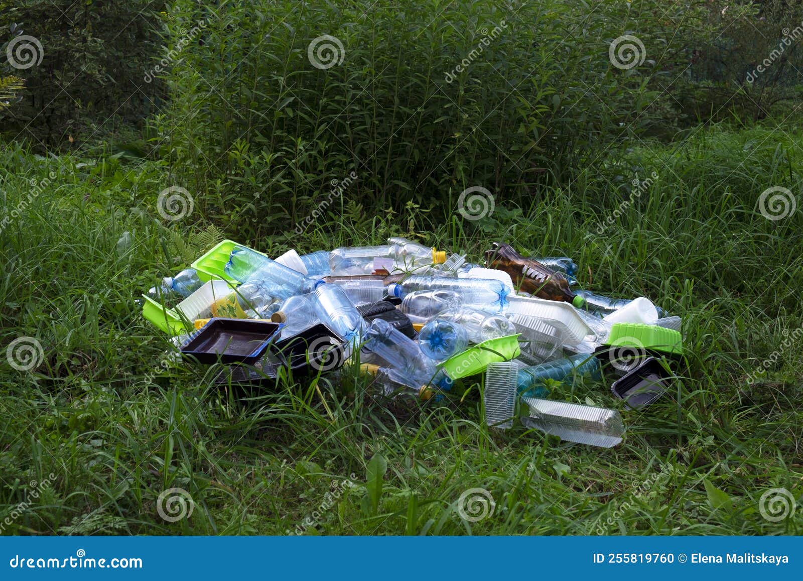 Garbage Heap in the Forest - Plastic Bottles and Disposable Containers ...