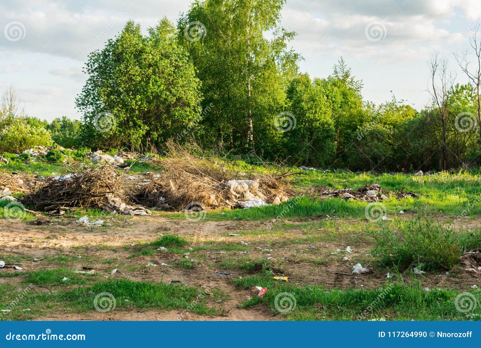 Garbage in the Forest, the Ecological Problem of Waste Disposal ...