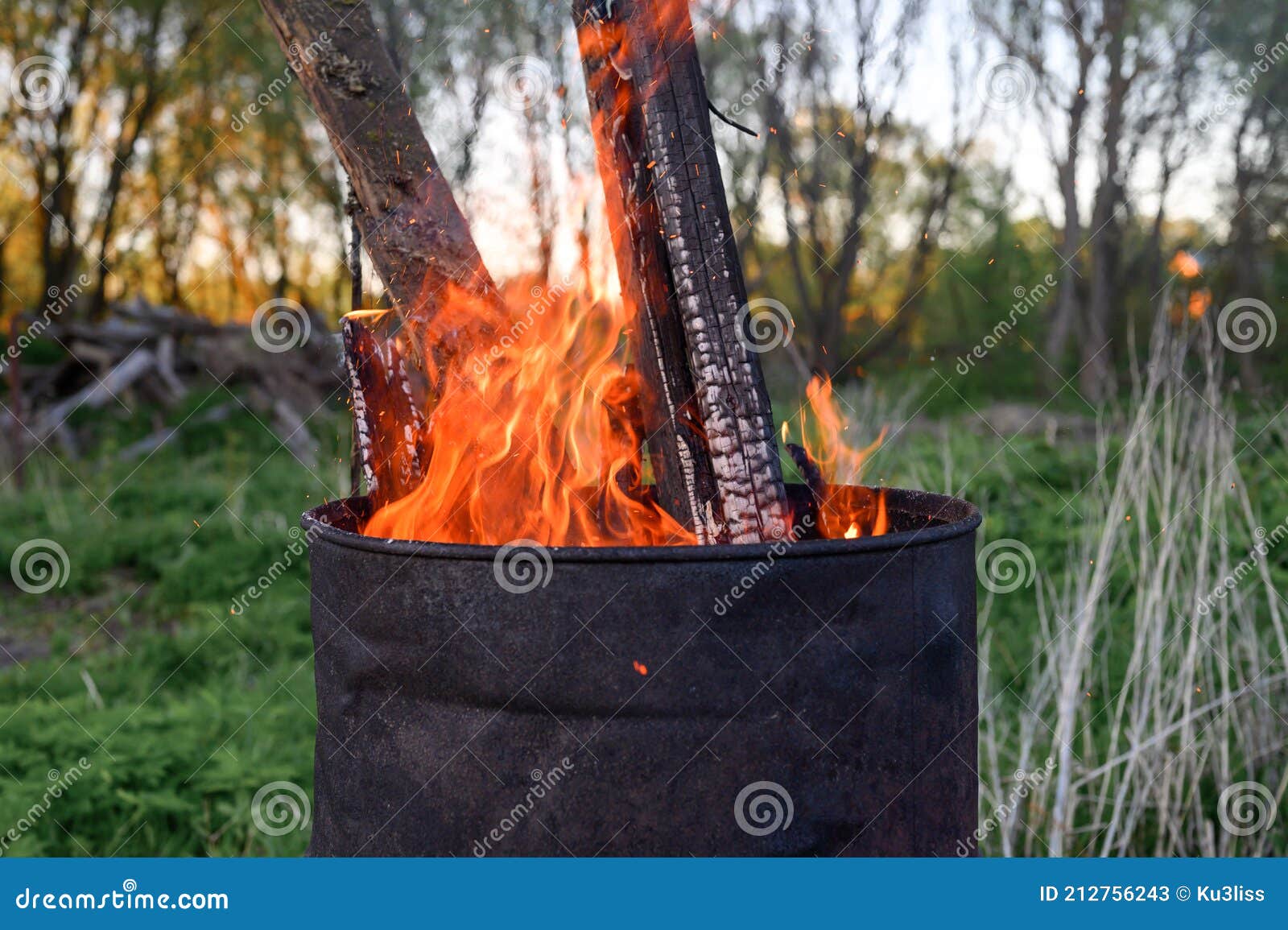 Garbage Incineration in Rusty Metal Barrel. Burning Branches and Old ...