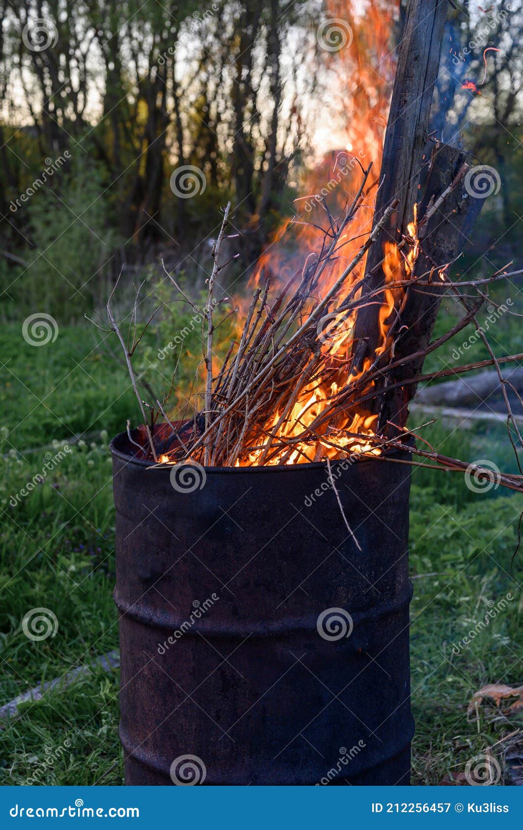 Garbage Incineration In Rusty Metal Barrel. Burning Branches And Old ...