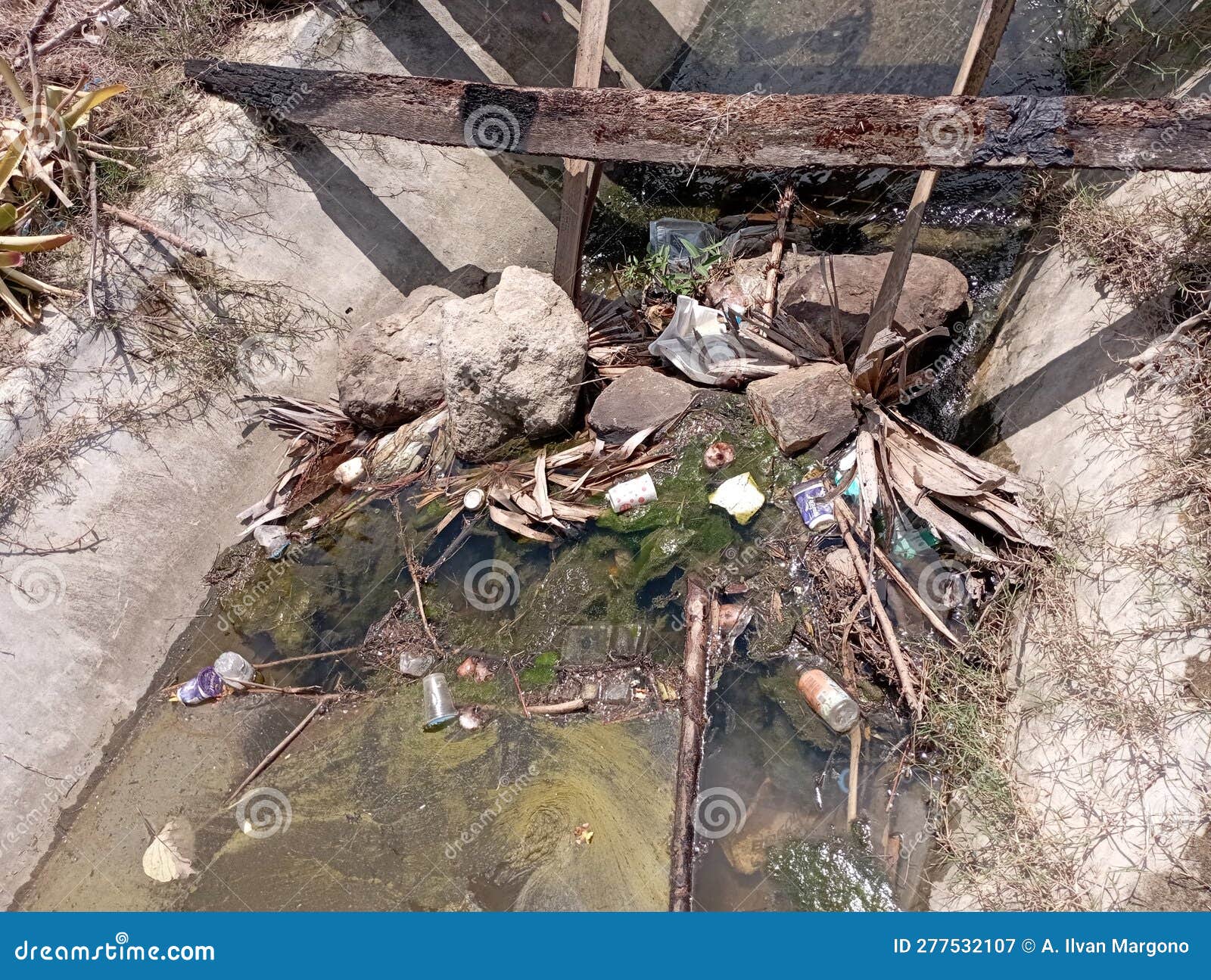 Garbage in Irrigation Canals Stock Image - Image of garbage, moss ...
