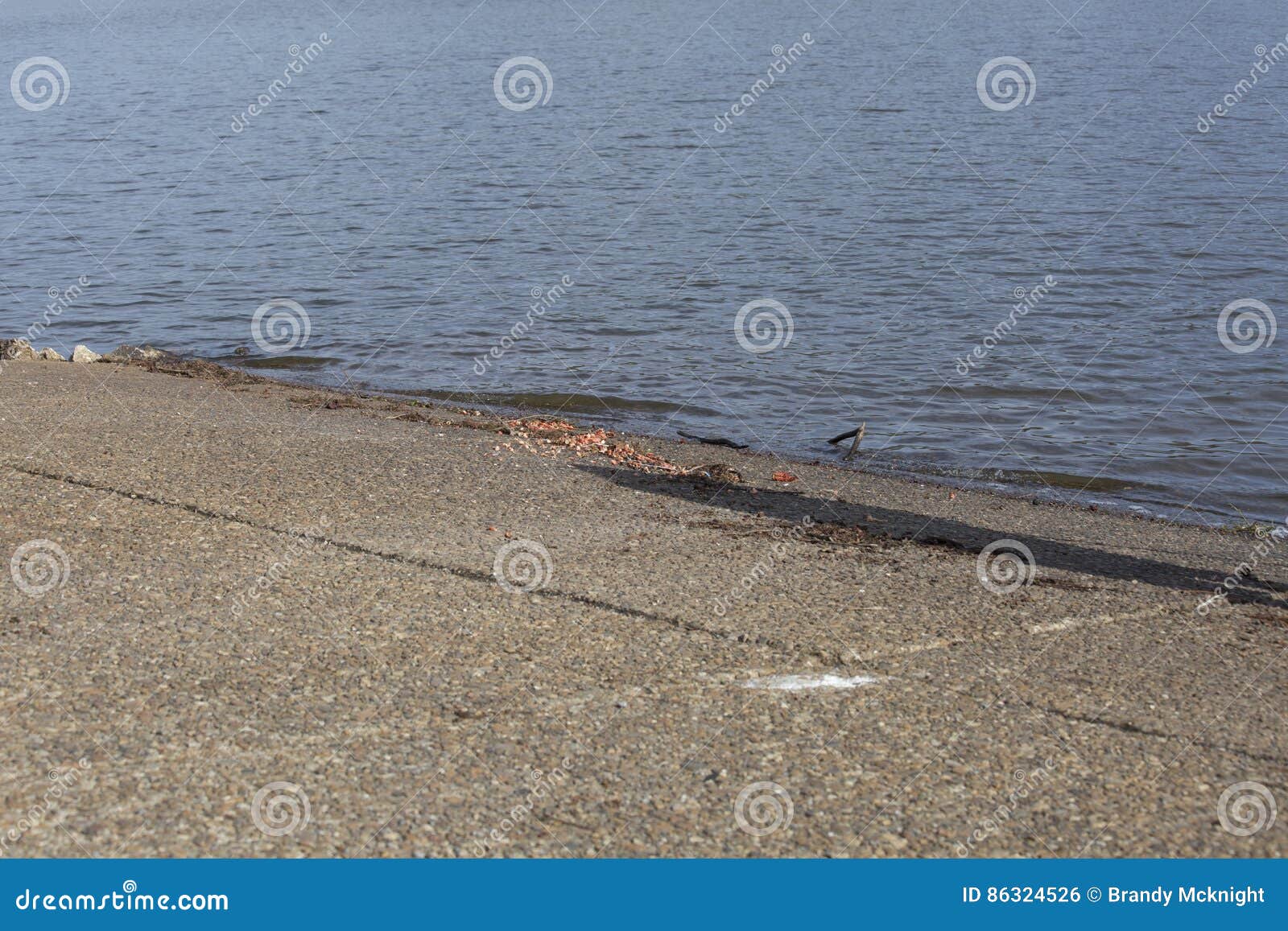 Garbage on a Lake Boat Ramp Stock Photo - Image of natural, landscape ...