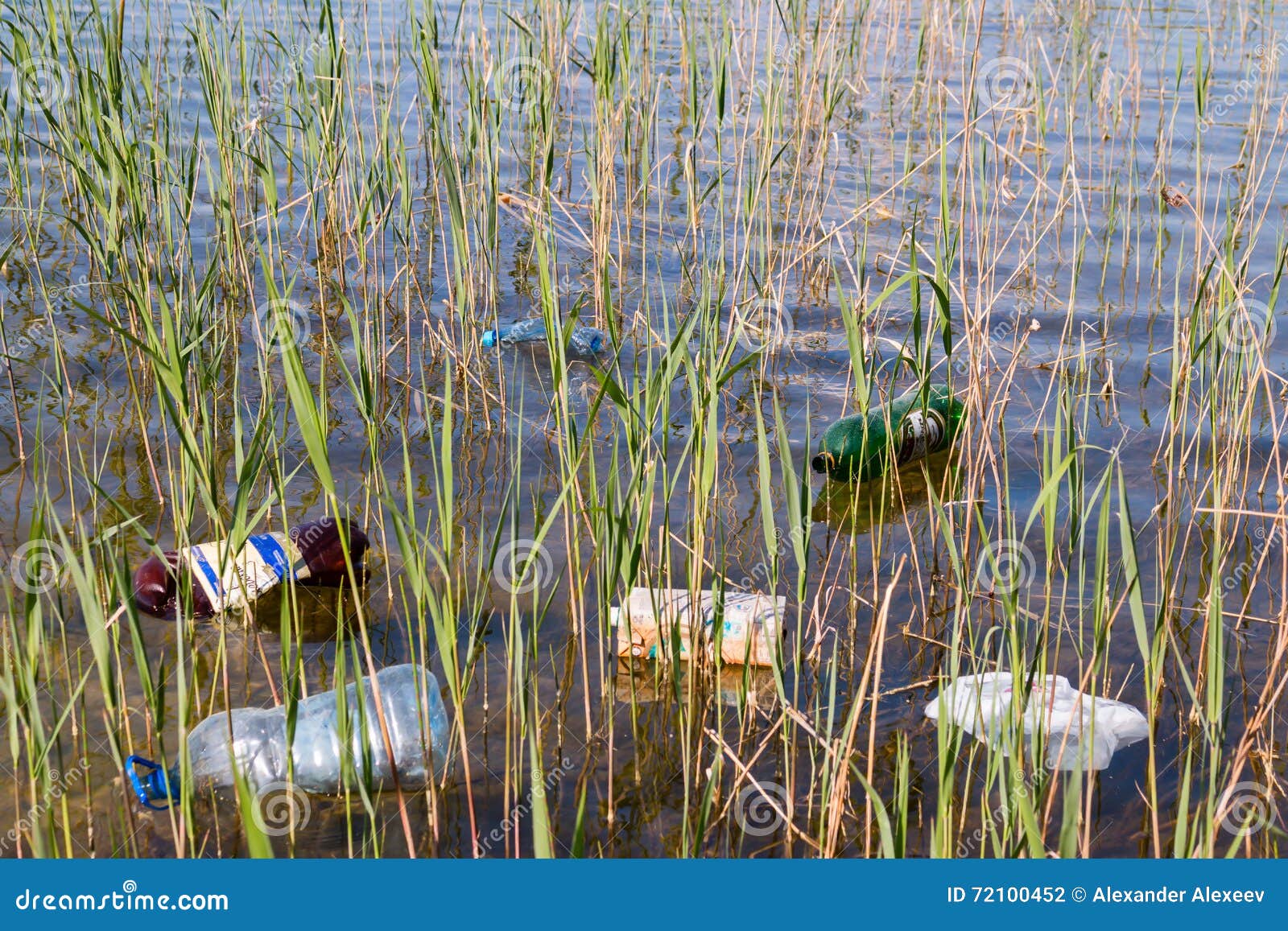 Garbage in the Lake Closeup Stock Photo - Image of care, planet: 72100452