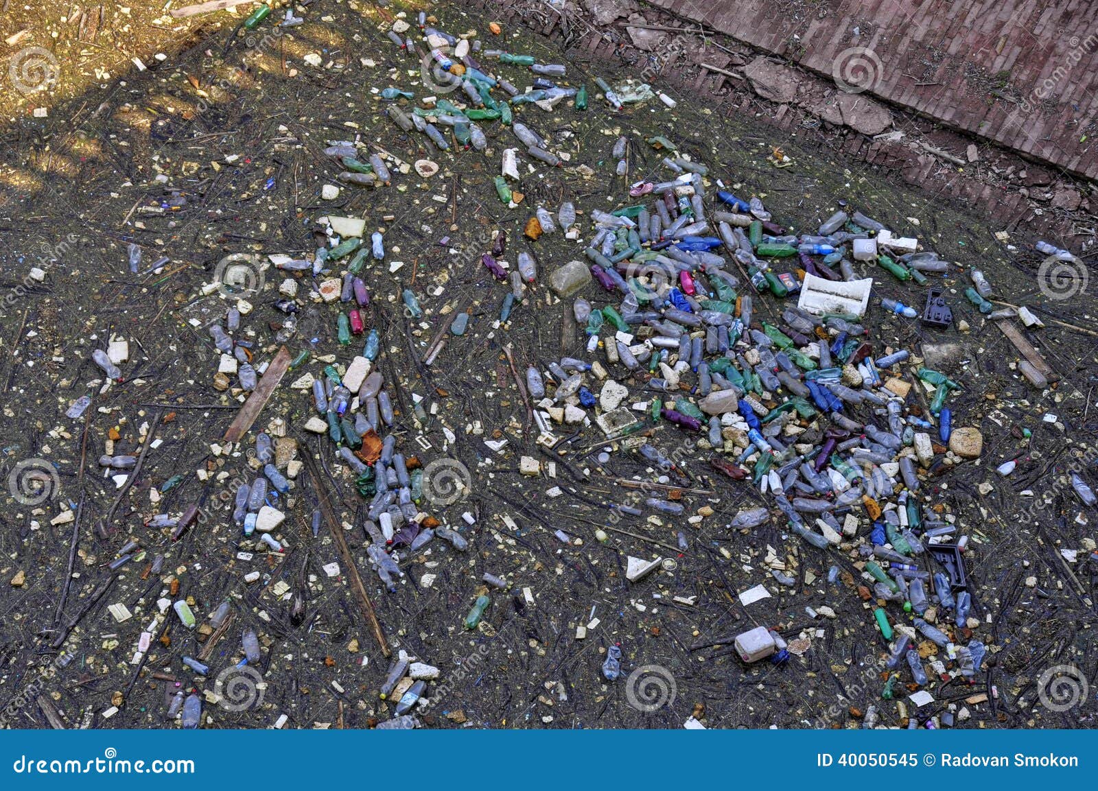 Garbage in lake stock image. Image of bottles, destruction - 40050545