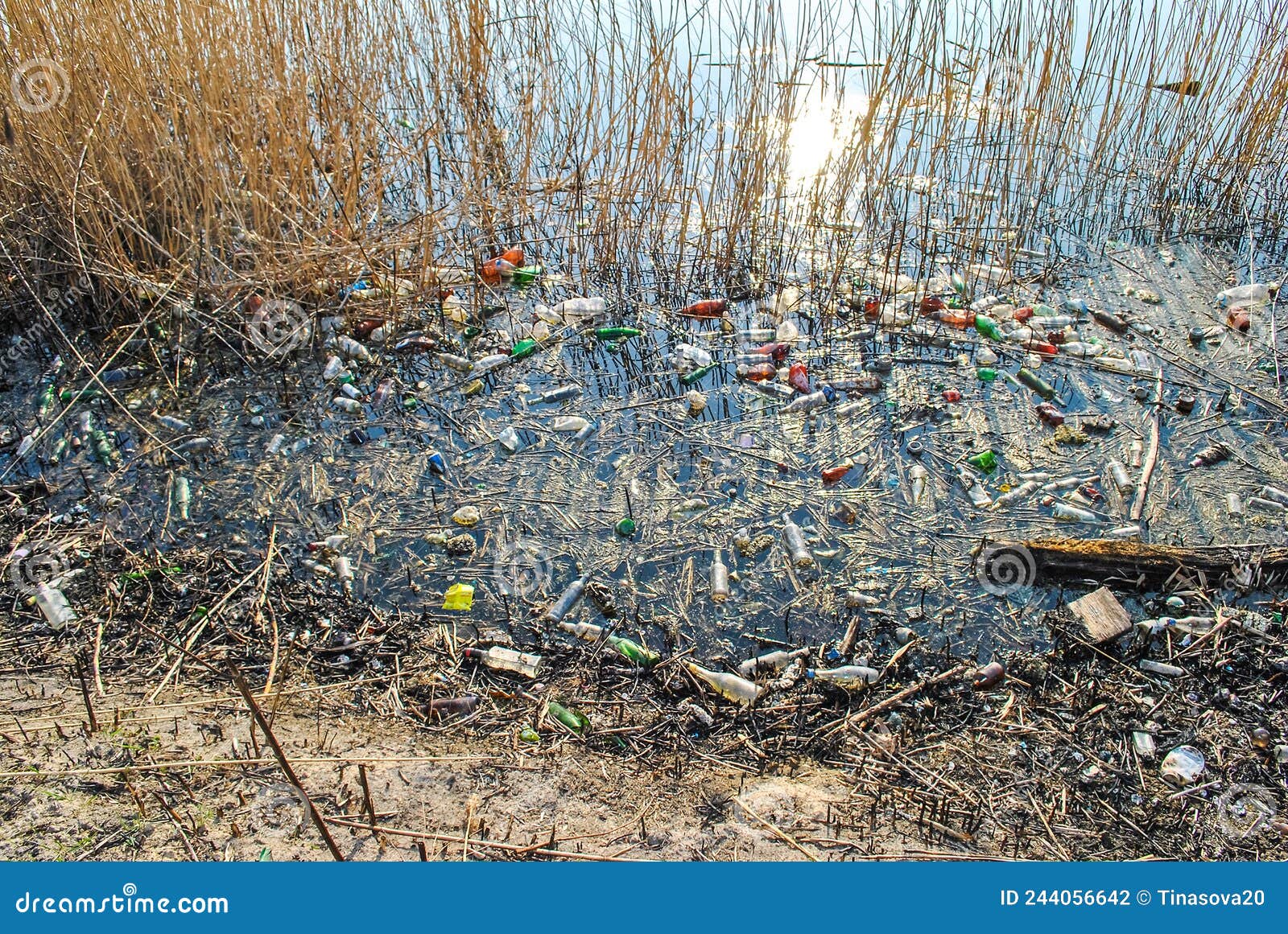 Garbage in Lake, Water Pollution. Rubbish and Bottles Float in River ...