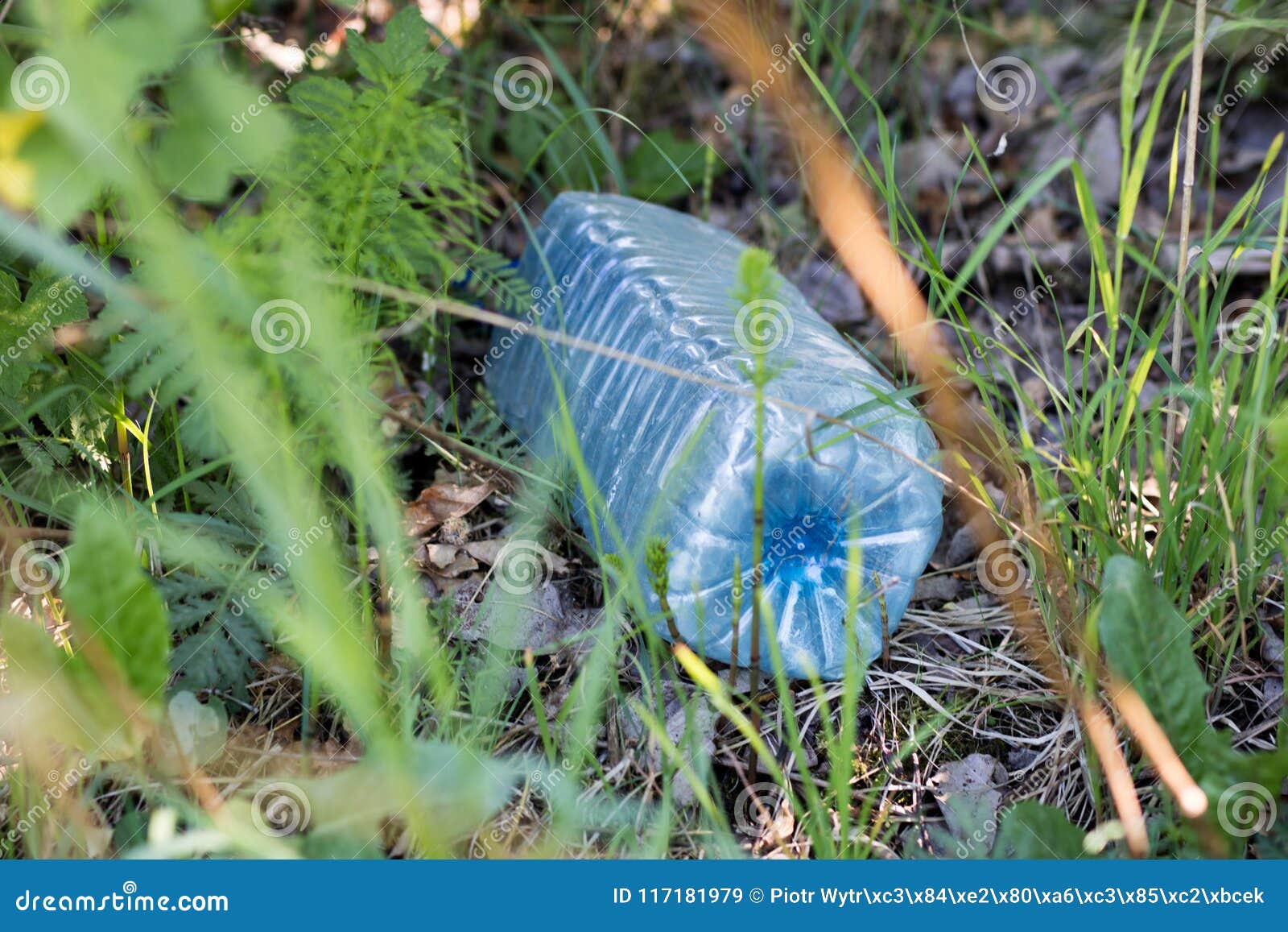Garbage Left in the Forest. Littered with Various Plastic Impurities ...