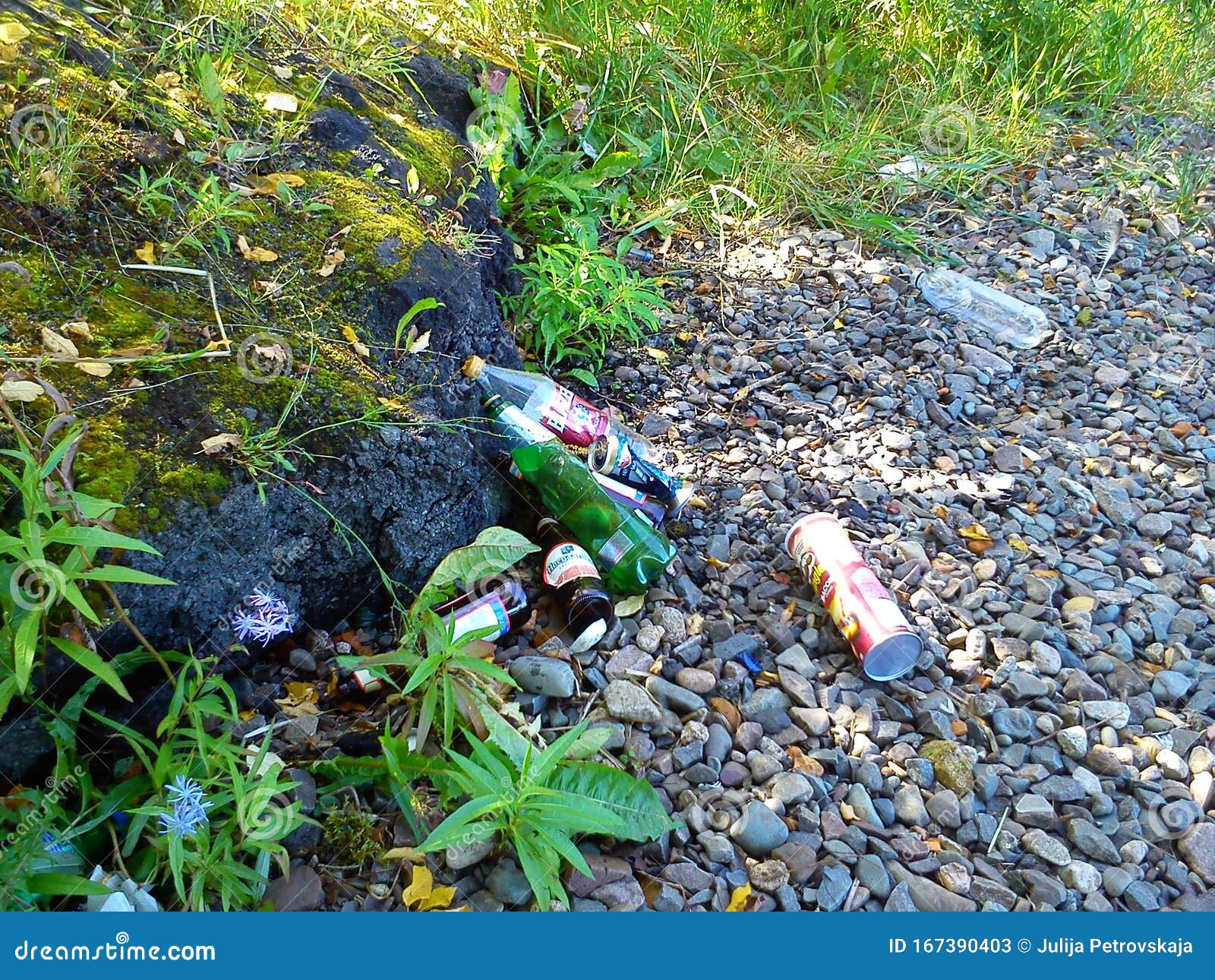 Garbage Left by People in the Forest. Human Waste. Environmental ...