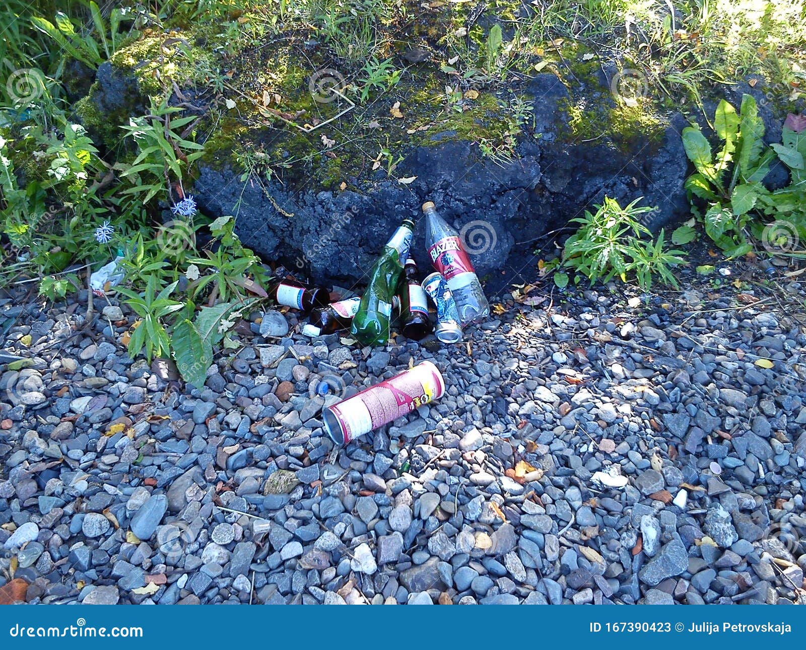 Garbage Left by People in the Forest. Human Waste. Environmental ...