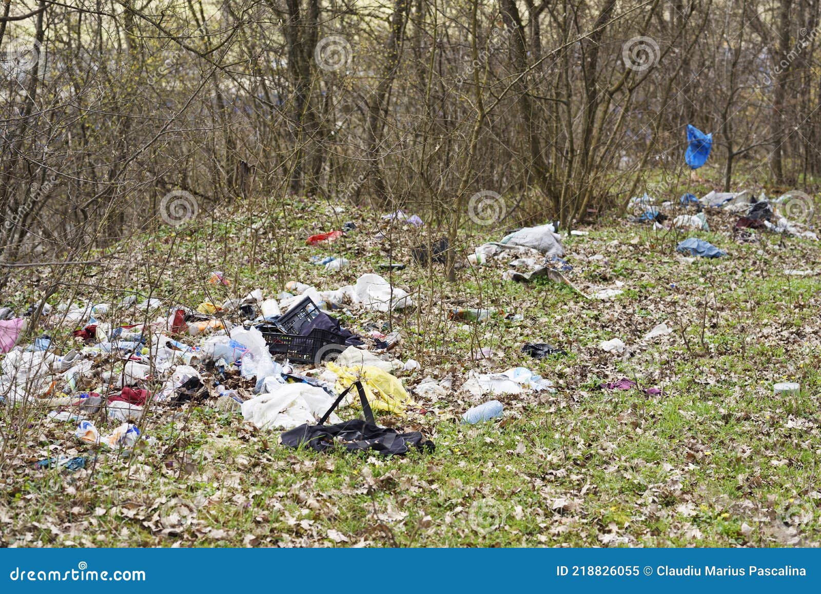 Garbage Left in the Woods in Romania Stock Image - Image of forest ...