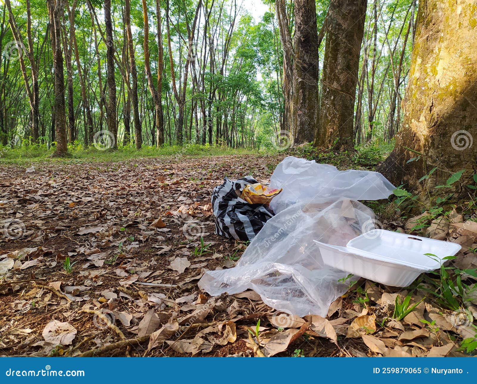 Garbage Littering the Forest. Stock Image - Image of ecology ...