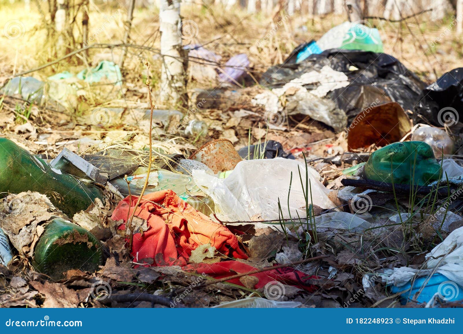 Garbage Lying in the Forest. People Pollute the Environment Stock Image ...