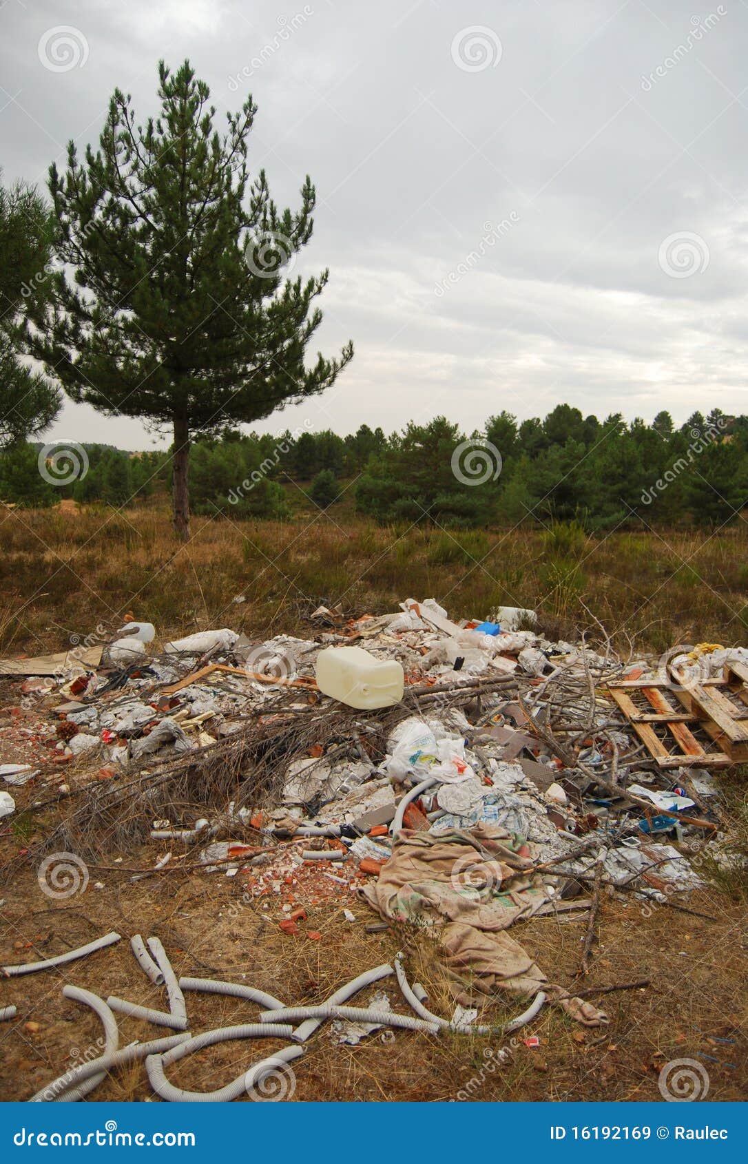 Garbage in nature stock image. Image of destruction, dirt - 16192169
