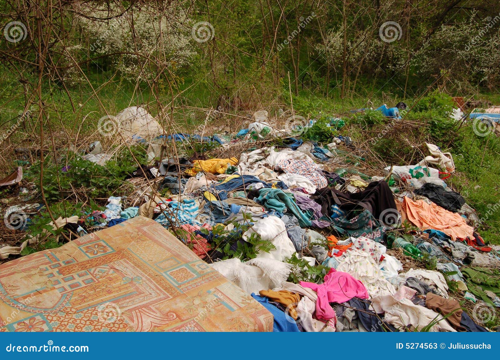 Garbage in nature stock image. Image of forest, mess, messy - 5274563