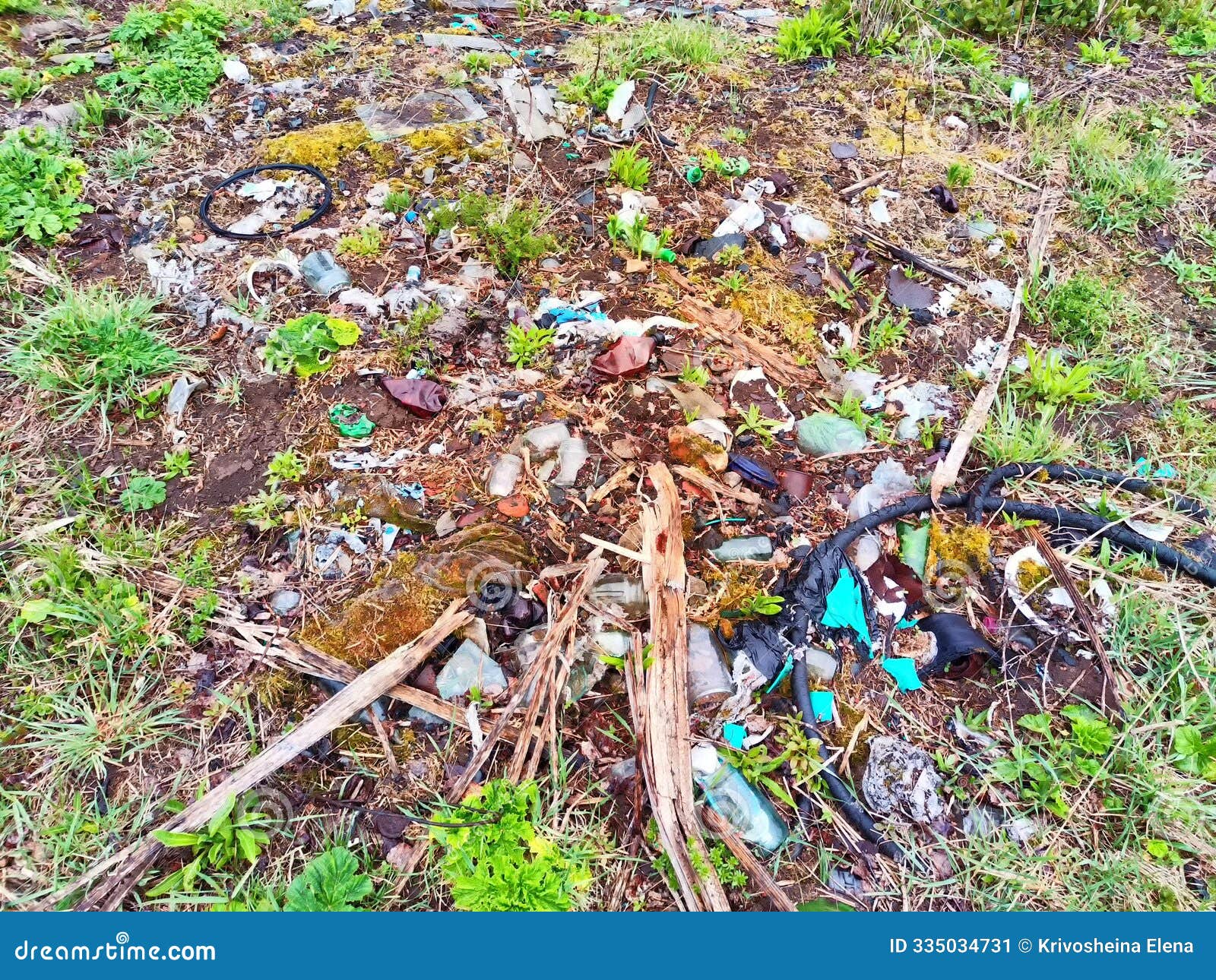 Garbage in Nature. Destruction of the Environment. Litter and Debris ...