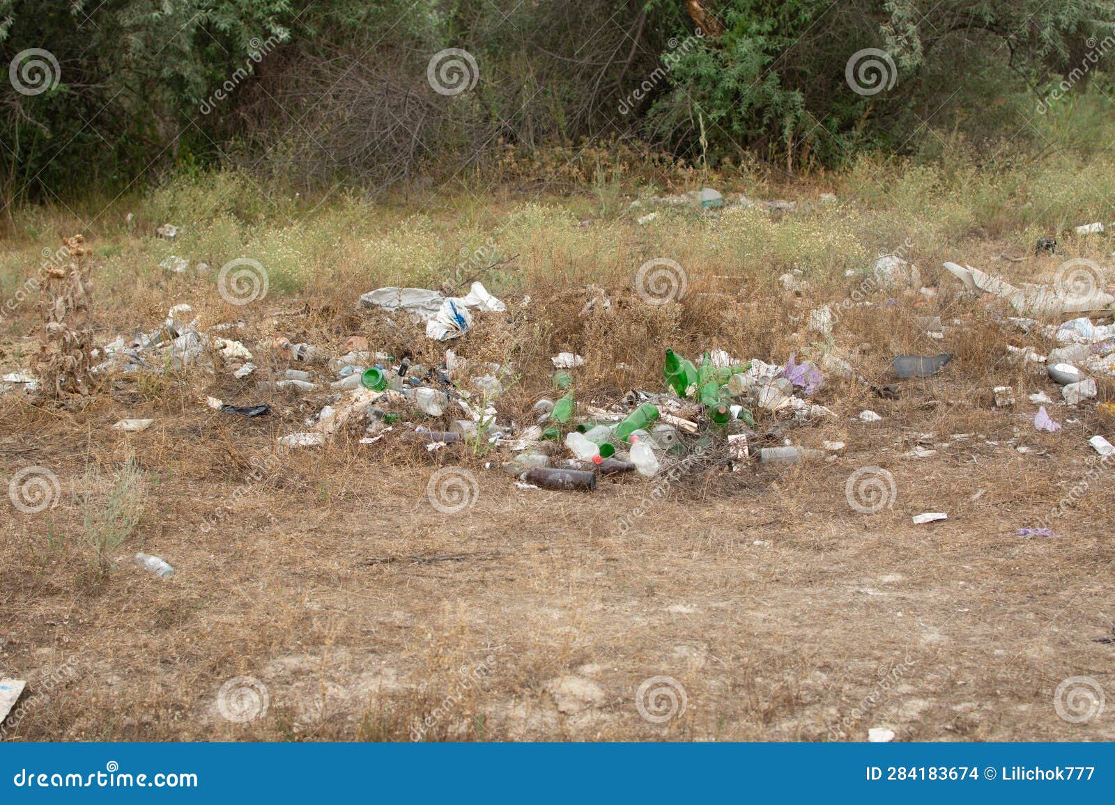 Garbage in Nature Left by People, Environmental Pollution Stock Photo ...
