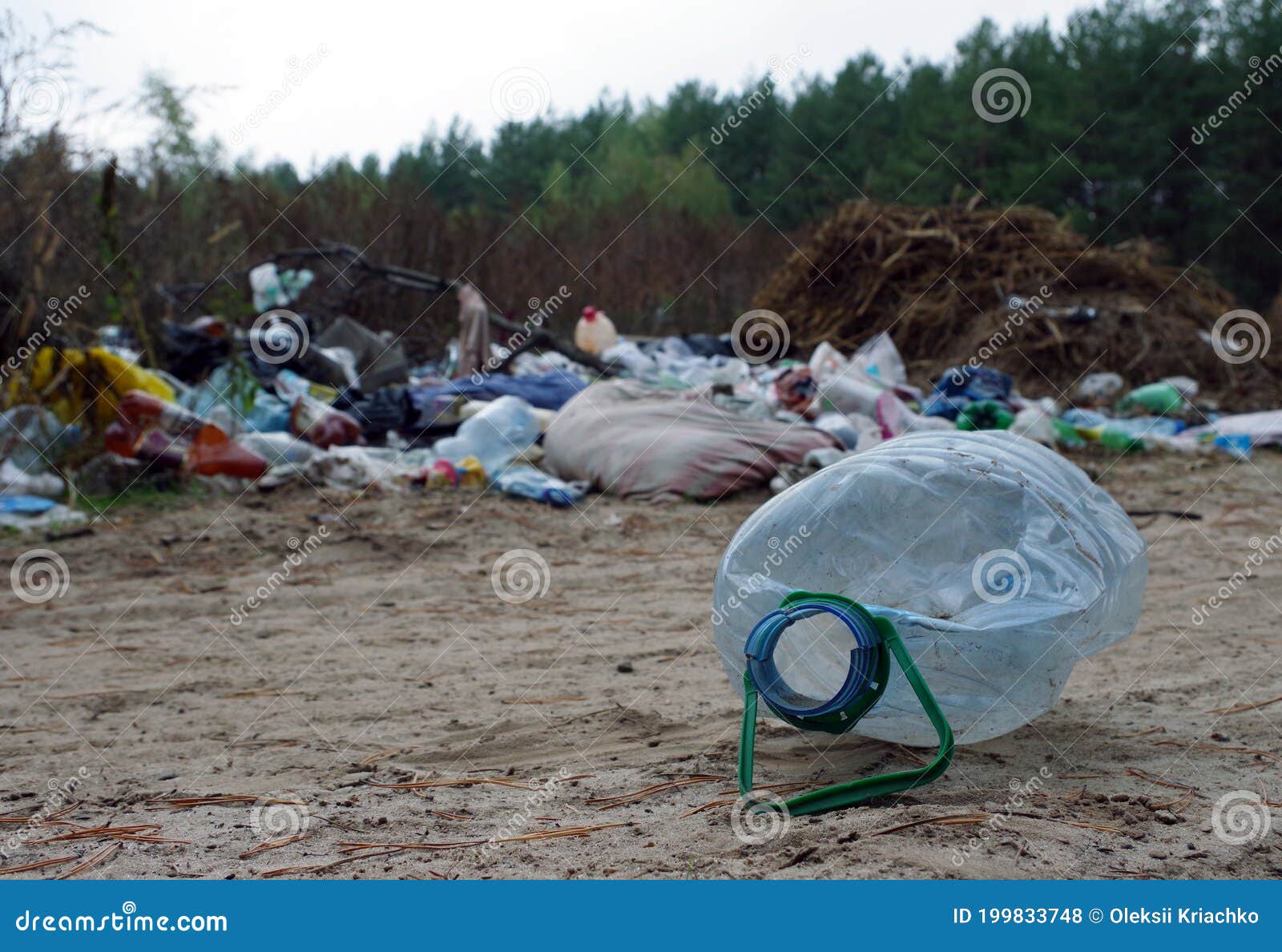 Garbage in Nature. Rubbish Thrown in the Forest. Environmental ...