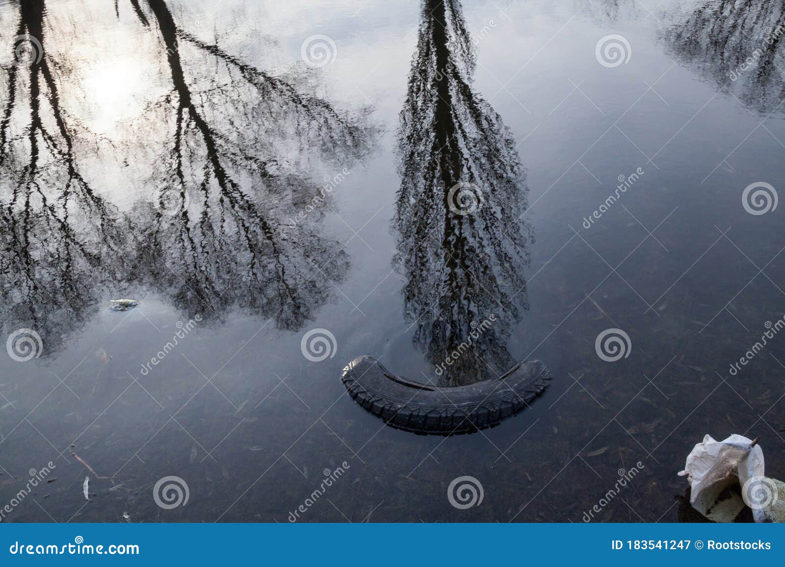 Garbage, Old Tire and Tree Reflections in Water Stock Image - Image of ...