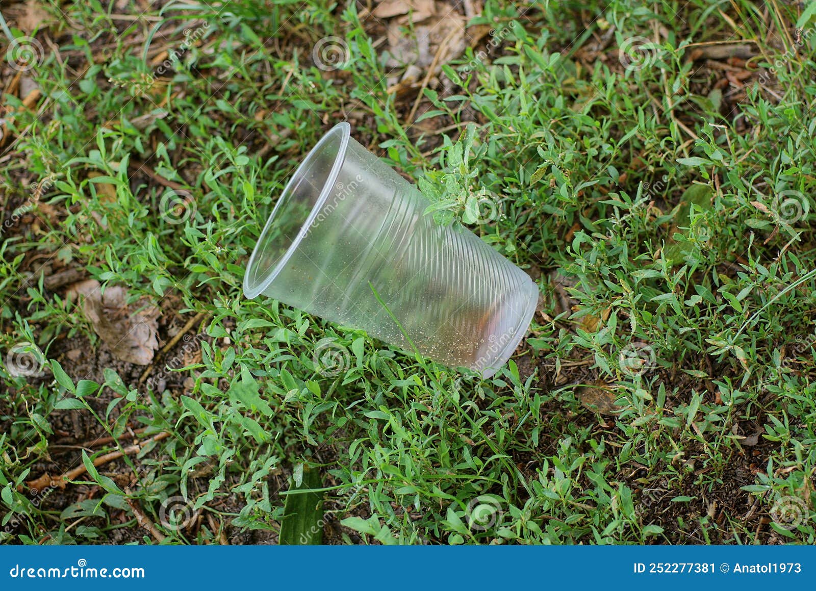 Garbage from One Big Empty White Plastic Cup Lies on the Ground Stock ...