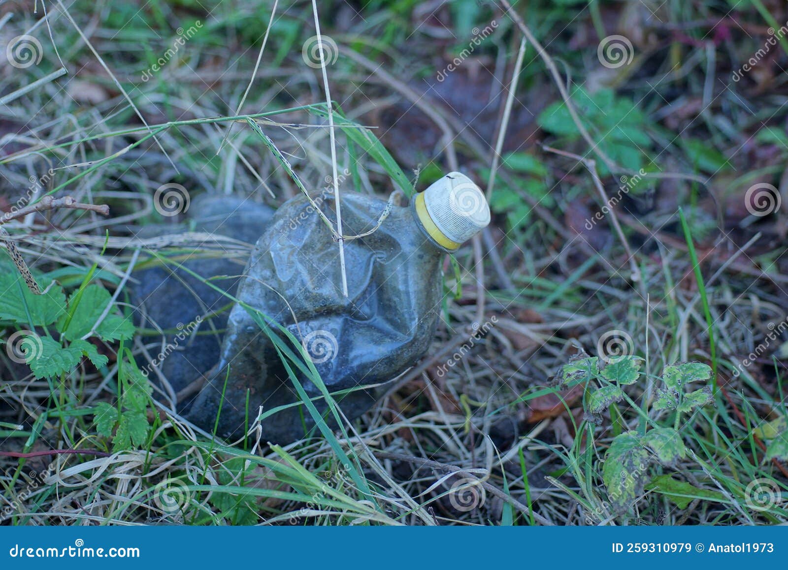 Garbage from One Empty Gray Plastic Bottle and White Cork Stock Image ...