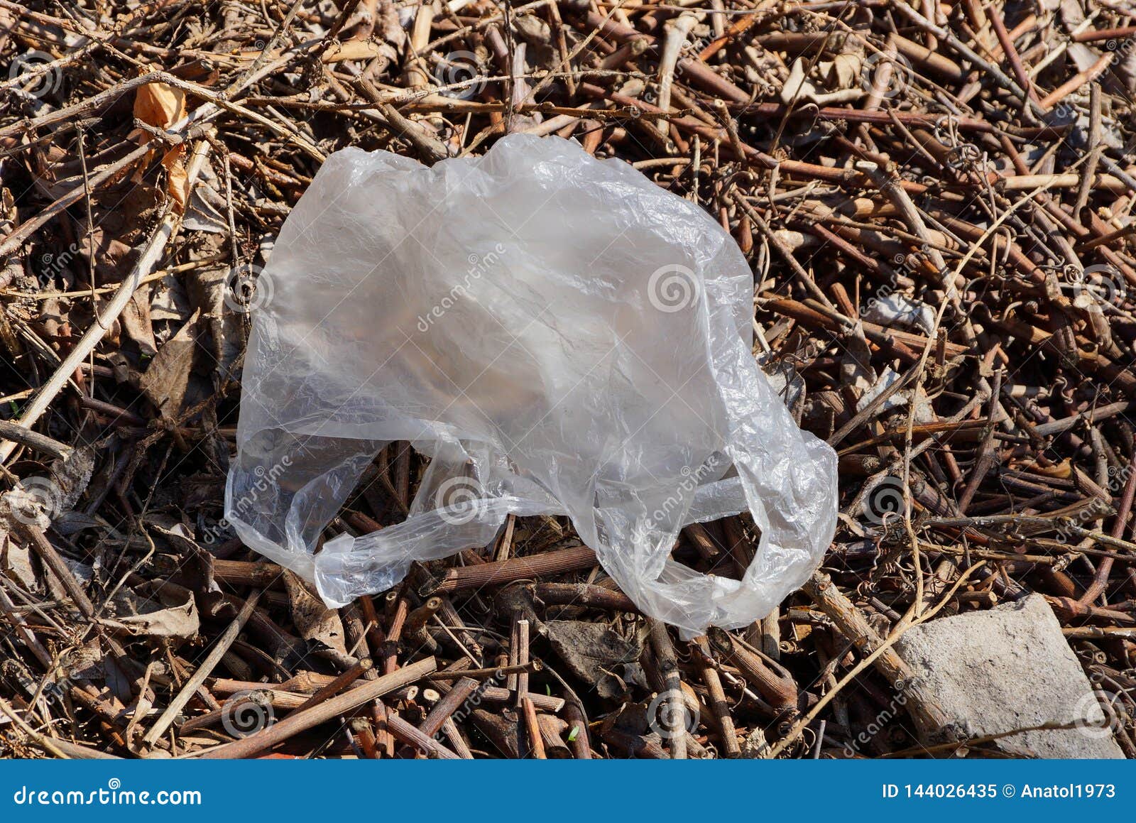 Trash from a White Empty Plastic Bag on Dry Grass in Nature Stock Image ...