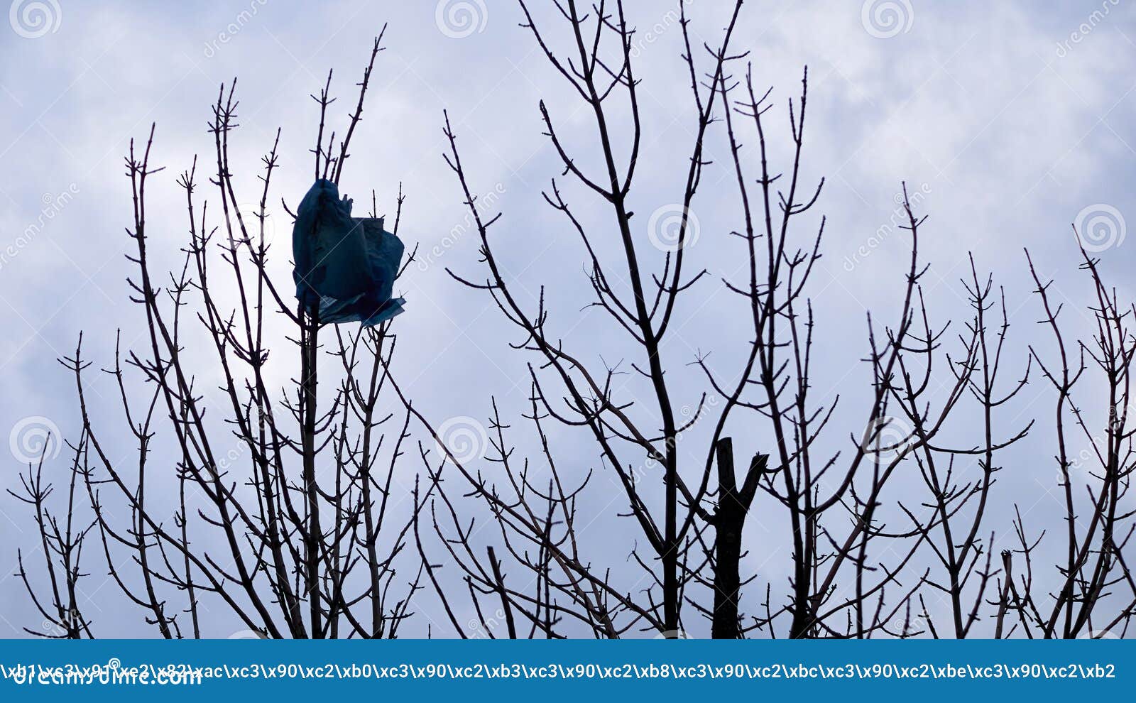 Garbage Pack on Tree Branches Stock Photo - Image of garbage, branch ...