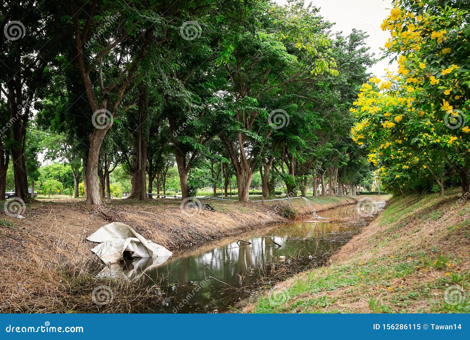 Garbage in the park stock image. Image of horizontal - 156286115