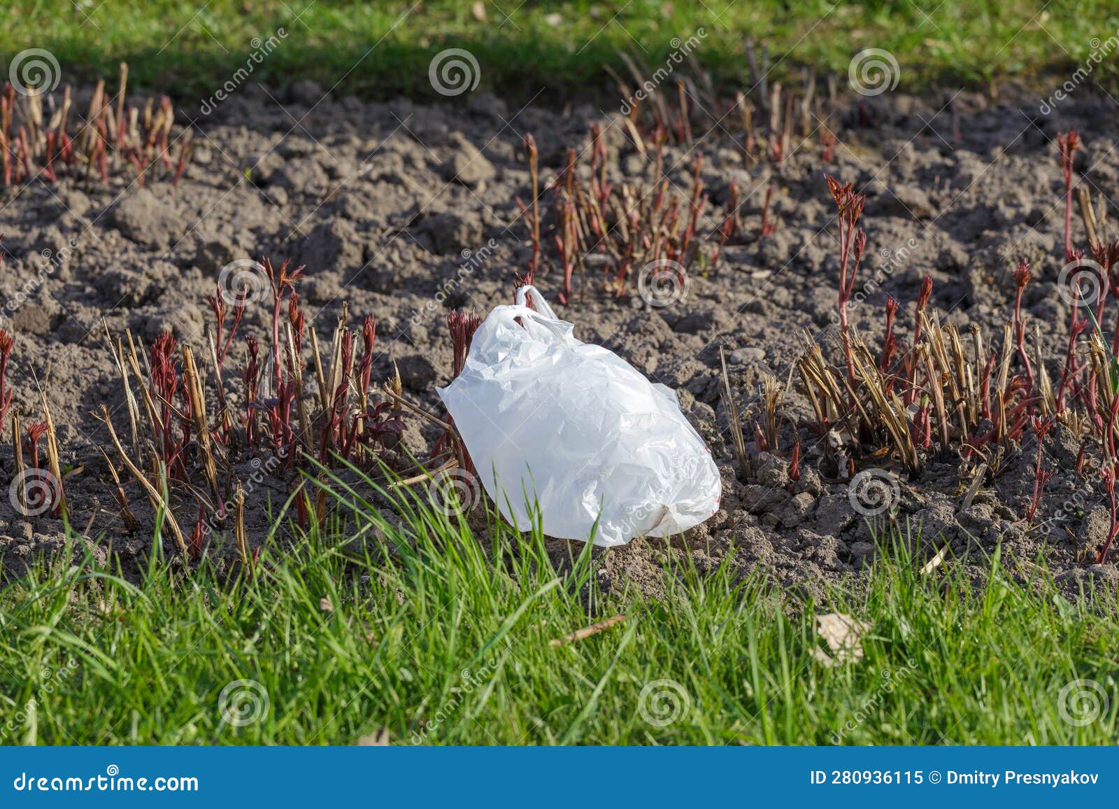 A Plastic Bag in the Form of Garbage in the Park. the Concept of ...