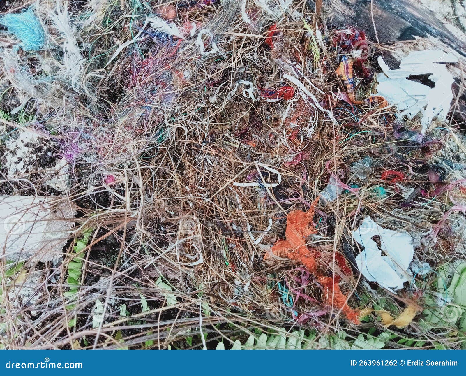 Garbage piled up stock photo. Image of wildlife, nature - 263961262