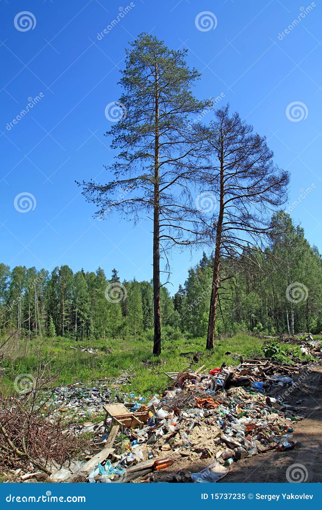 Garbage pit stock image. Image of problems, branch, dirt - 15737235