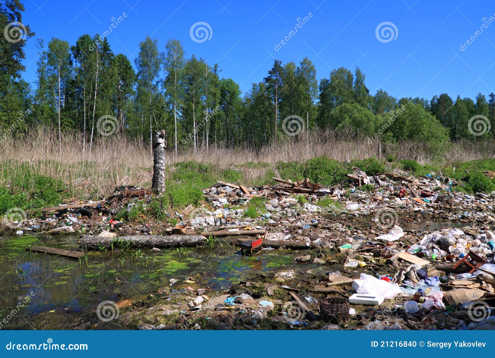 Garbage pit stock photo. Image of cleanup, paper, conservation - 21216840