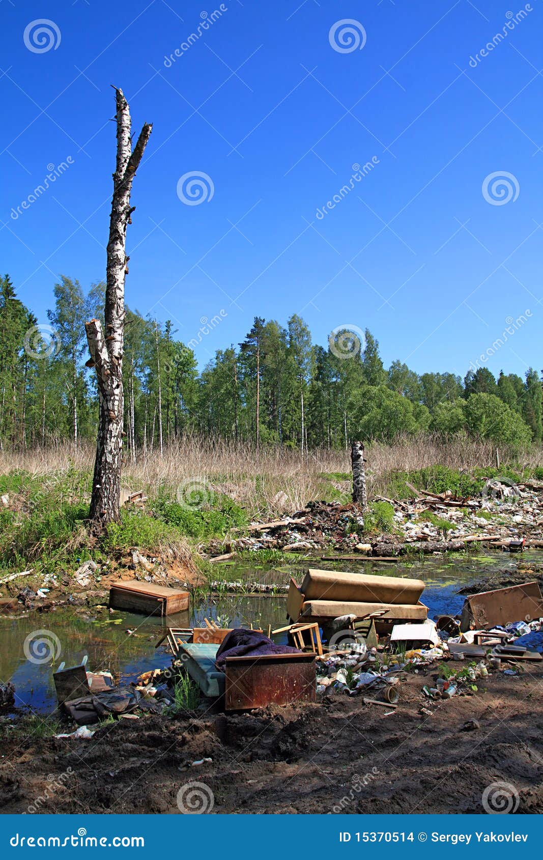 Garbage pit in wood stock photo. Image of lower, dump - 15370514