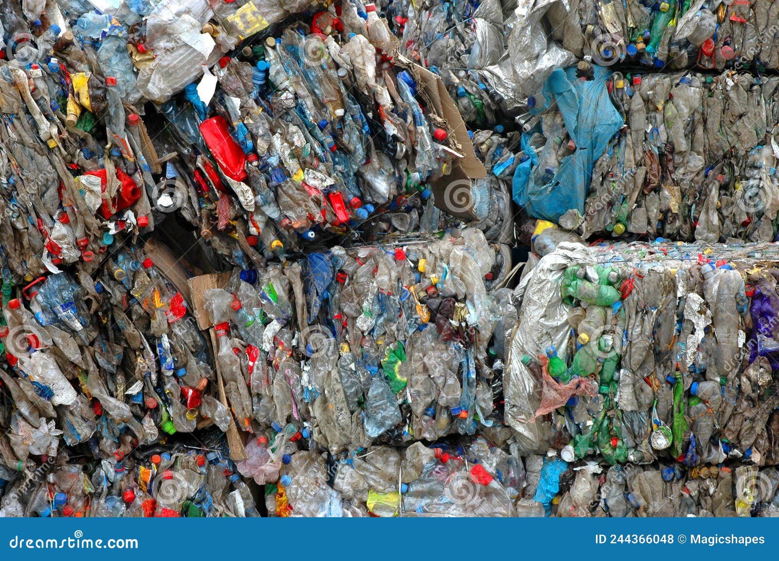Garbage Plastic Bottles Prepared for Recycling Editorial Stock Photo ...